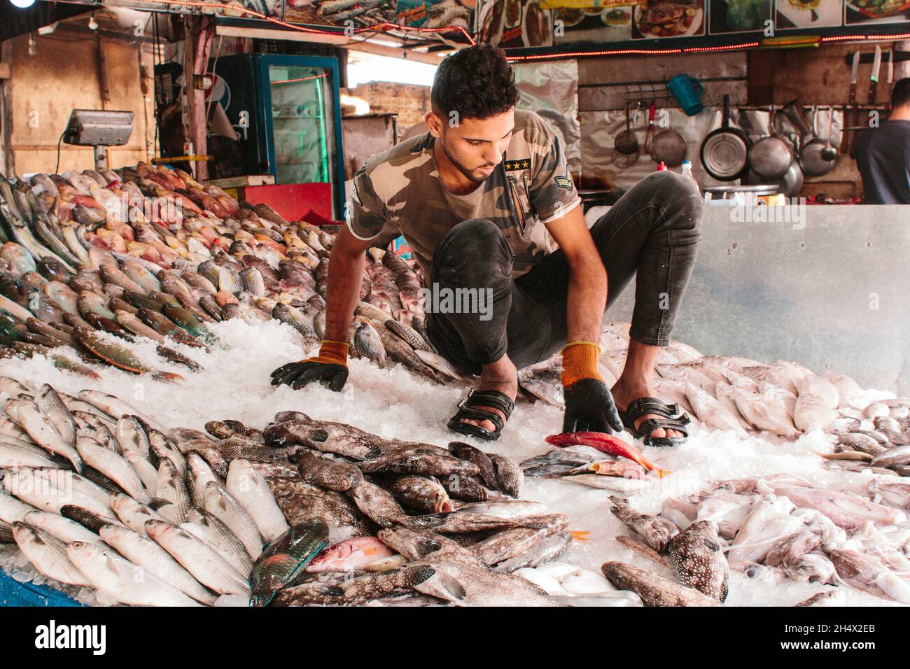 HURGHADA, EGYPT - OCTOBER 31, 2021 - A man lays out fish on the ice at ...