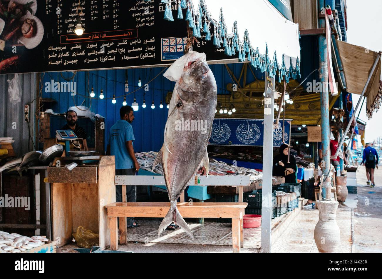 HURGHADA, EGYPT - OCTOBER 31, 2021 - A fish hangs from a hook at a fish ...