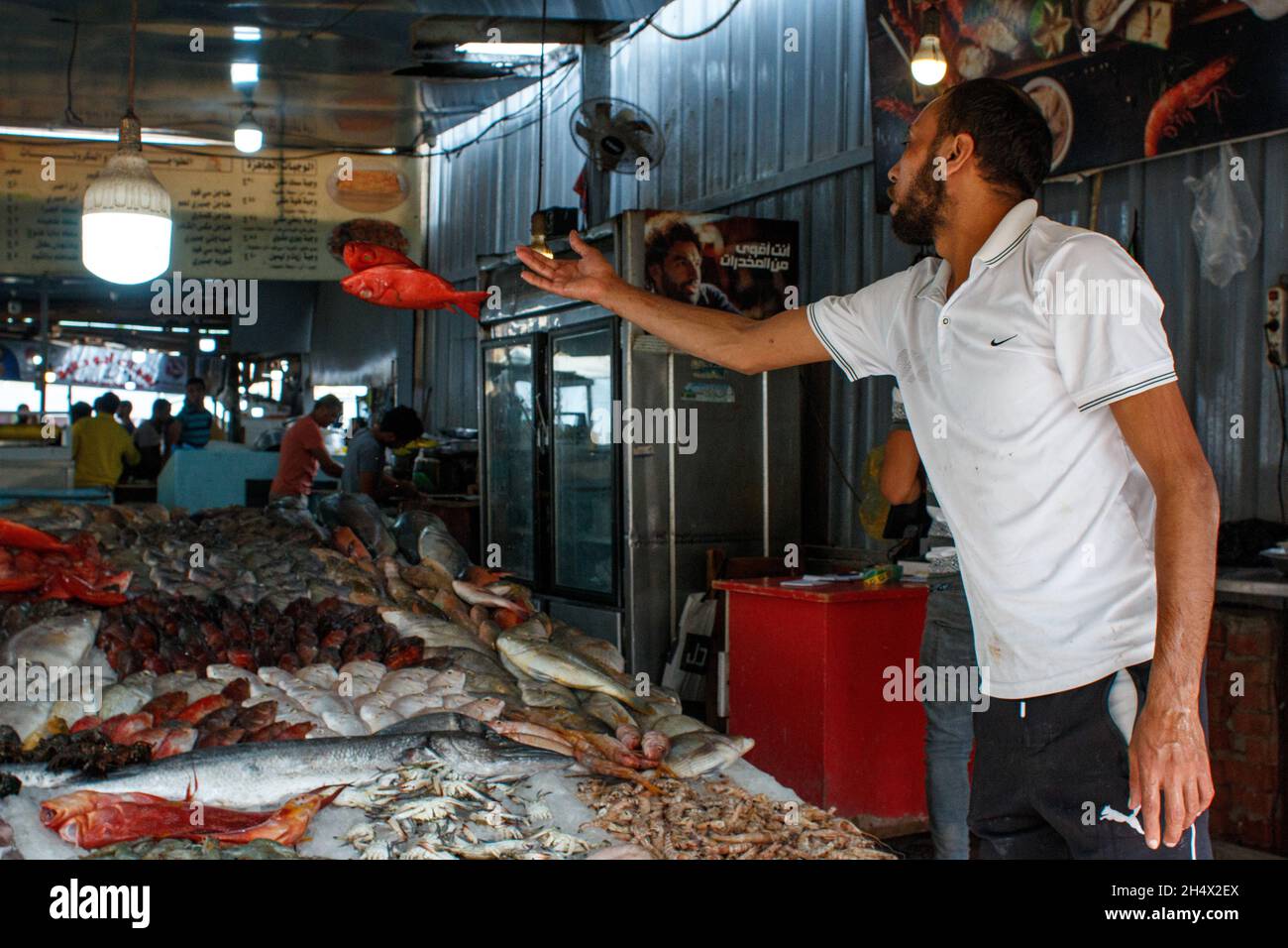 HURGHADA, EGYPT - OCTOBER 31, 2021 - A man throws fish at a fish market ...