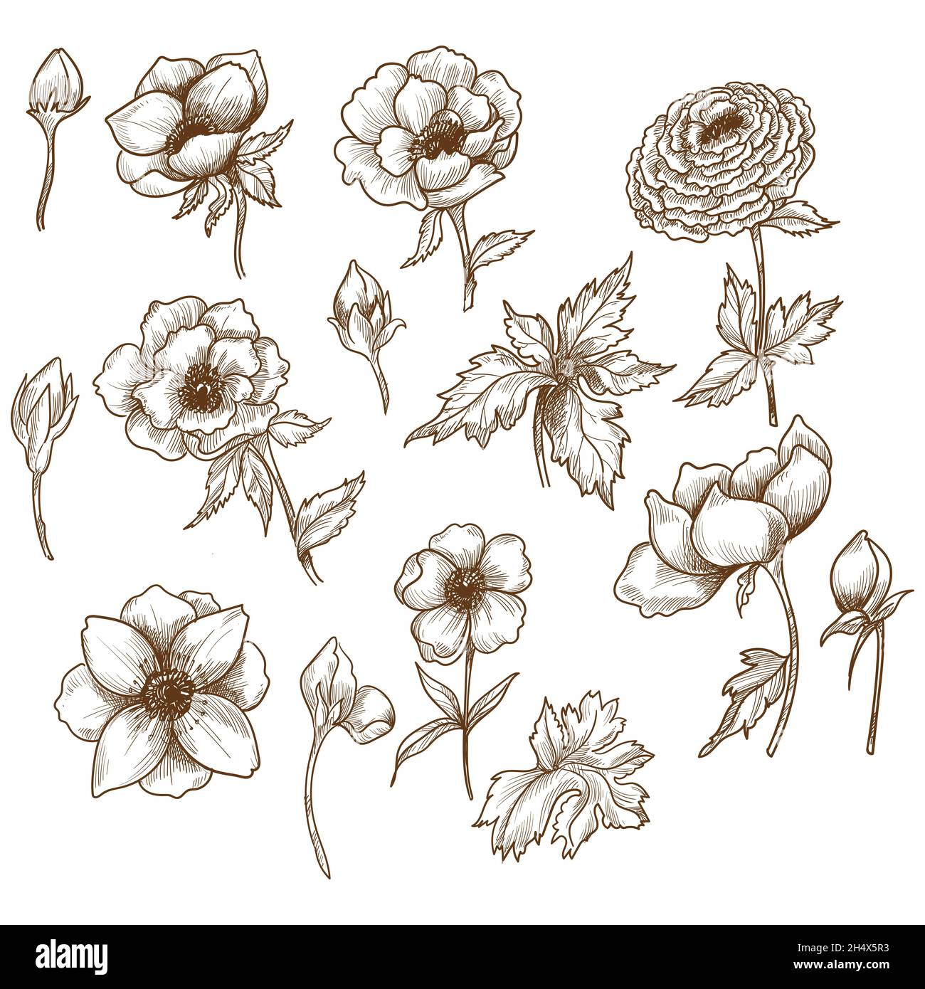 Decorative floral sketch set design Stock Vector Image & Art - Alamy