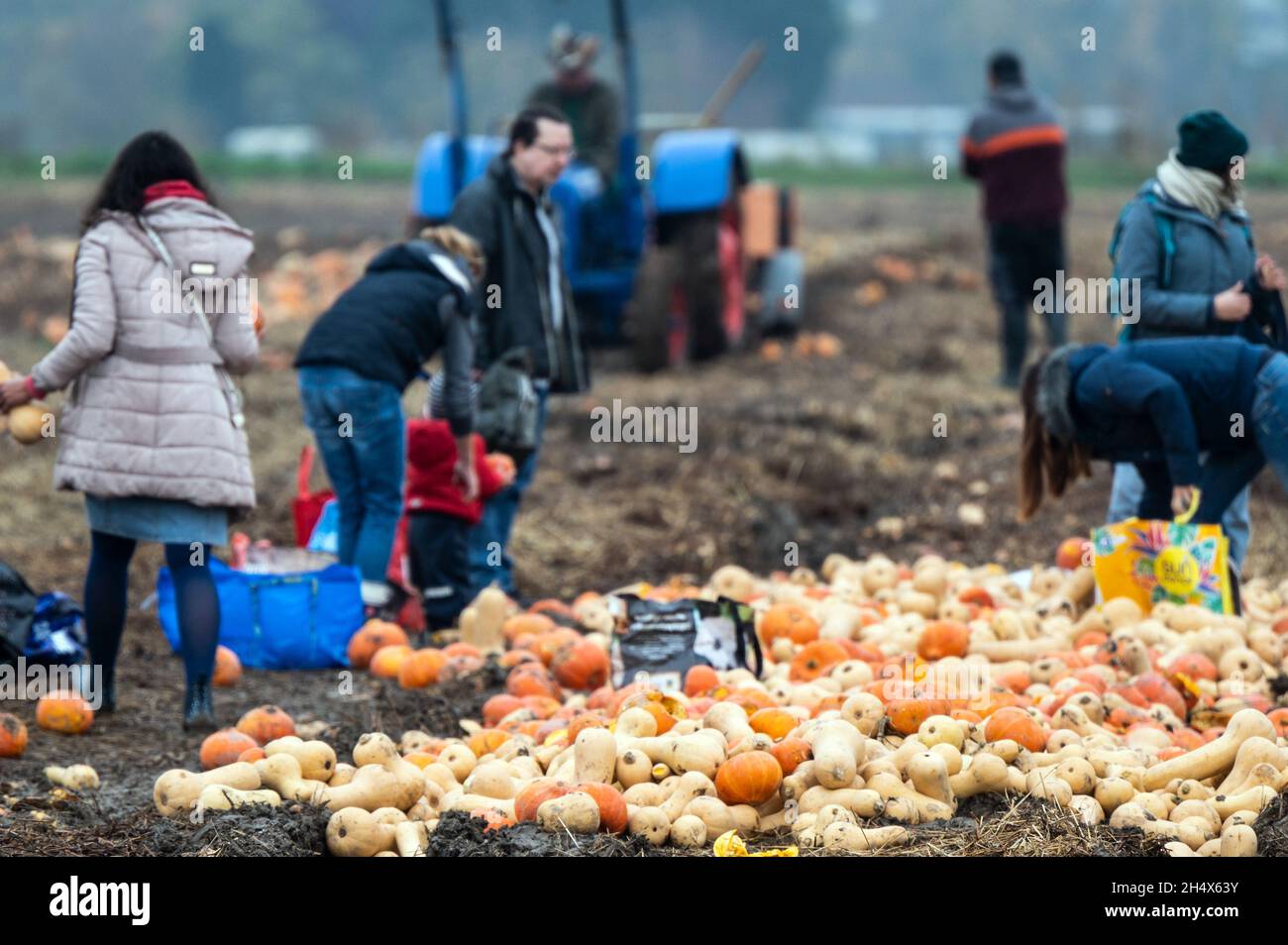 Cologne, Germany. 05th Nov, 2021. Passers-by pick up vegetables in a ...