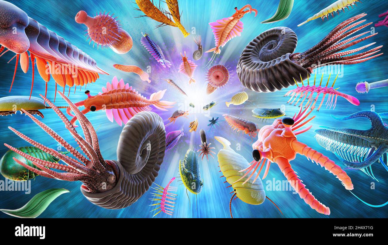Cambrian explosion or Cambrian radiation Stock Photo - Alamy Cambrian explosion or Cambrian radiation Stock Photo - Alamy