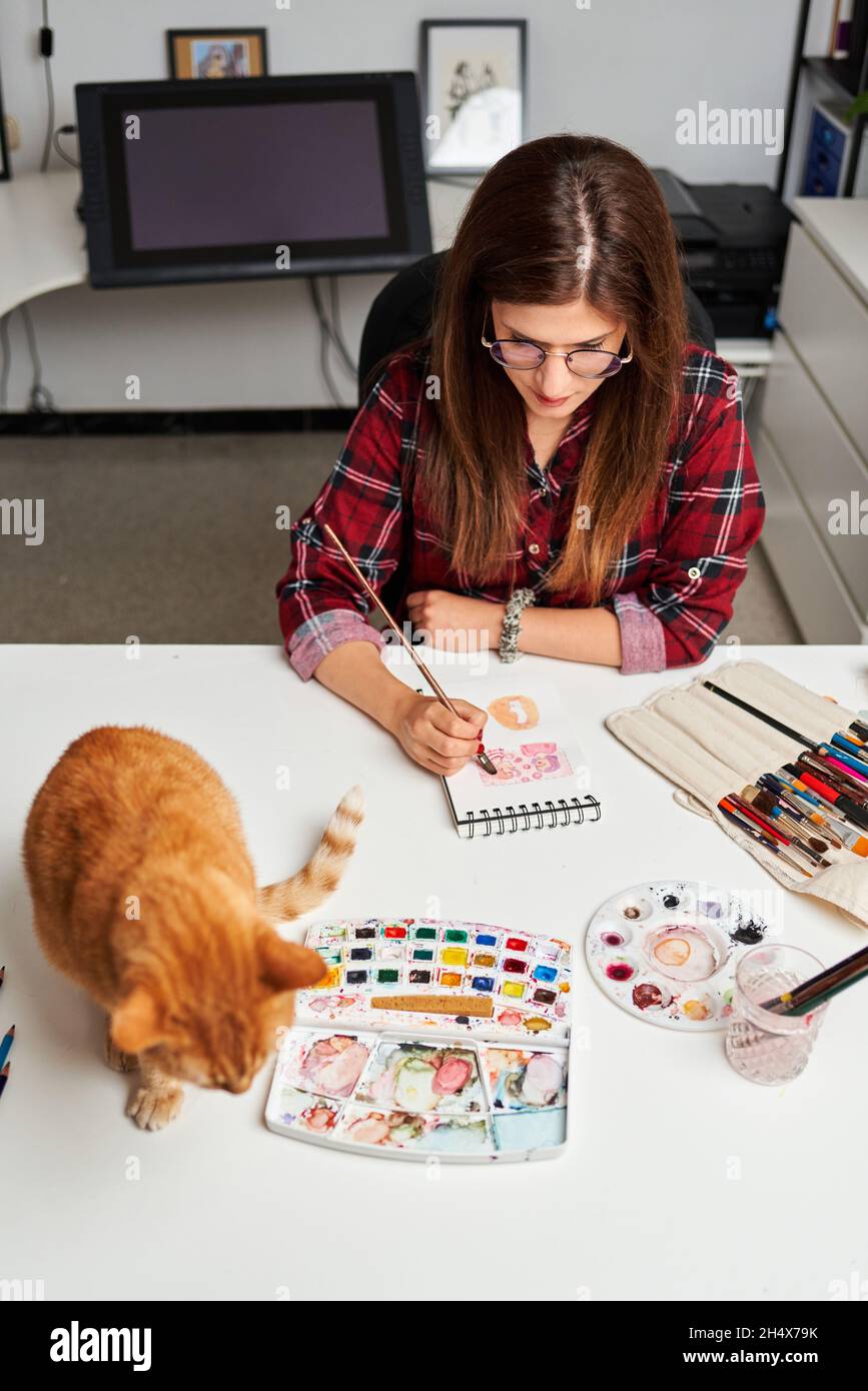 Illustrator woman working in the home office with her cat on the desk ...
