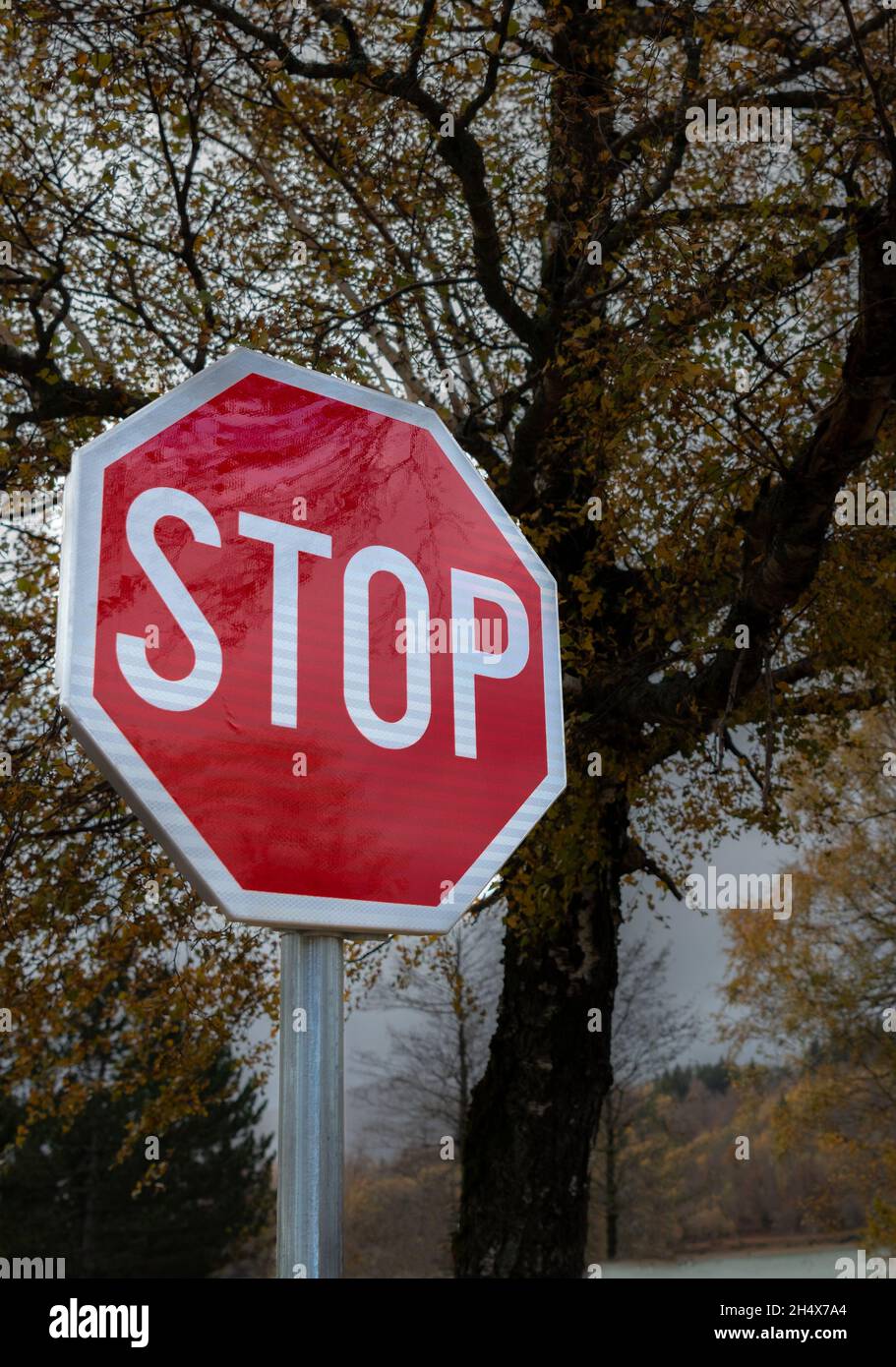 STOP road sign placed in the woods Stock Photo - Alamy