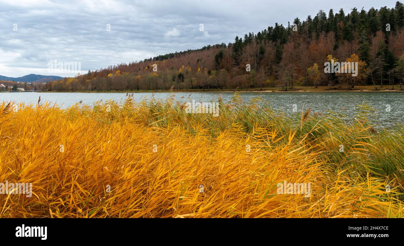 Bajer hi-res stock photography and images - Alamy