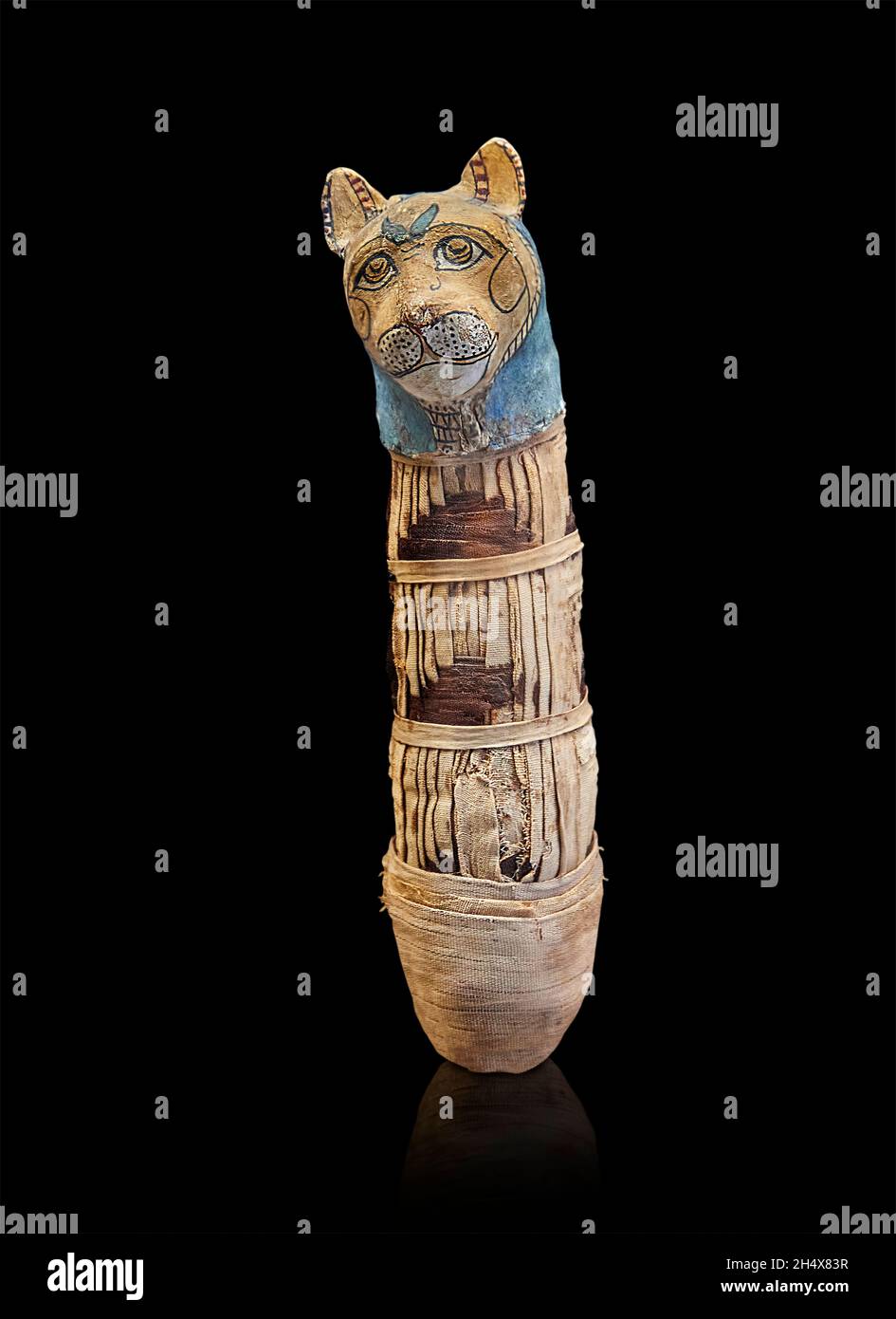 Ancient Egyptian cat mummy, 664-332 BC, Louvre Museum inv N2678C.Cat ...