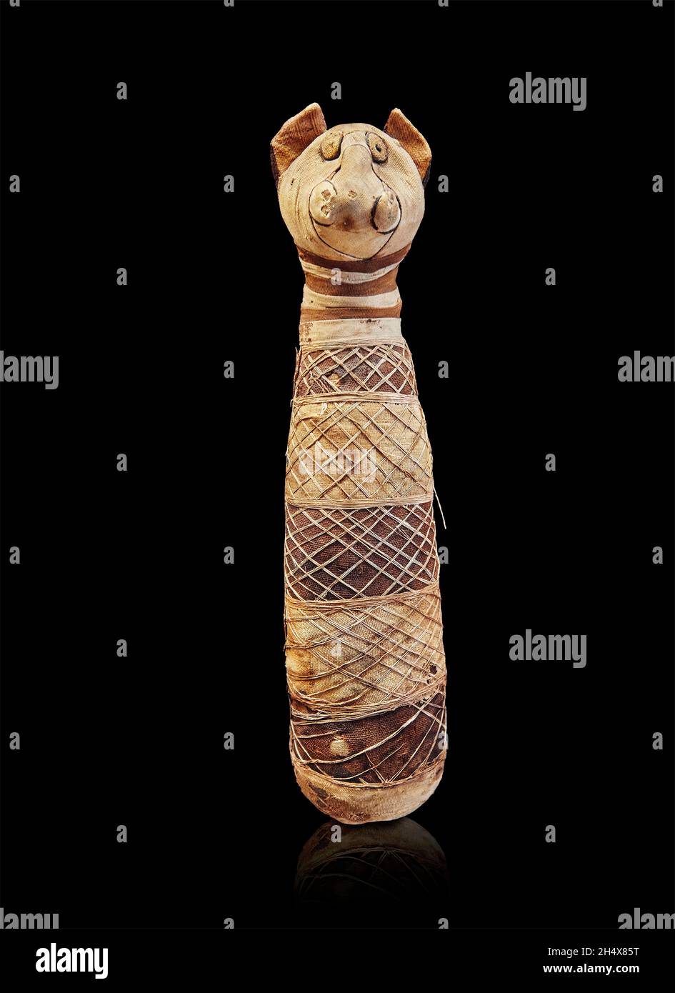 Ancient Egyptian cat mummy, 664-332 BC, Louvre Museum inv 2678B, Cat ...