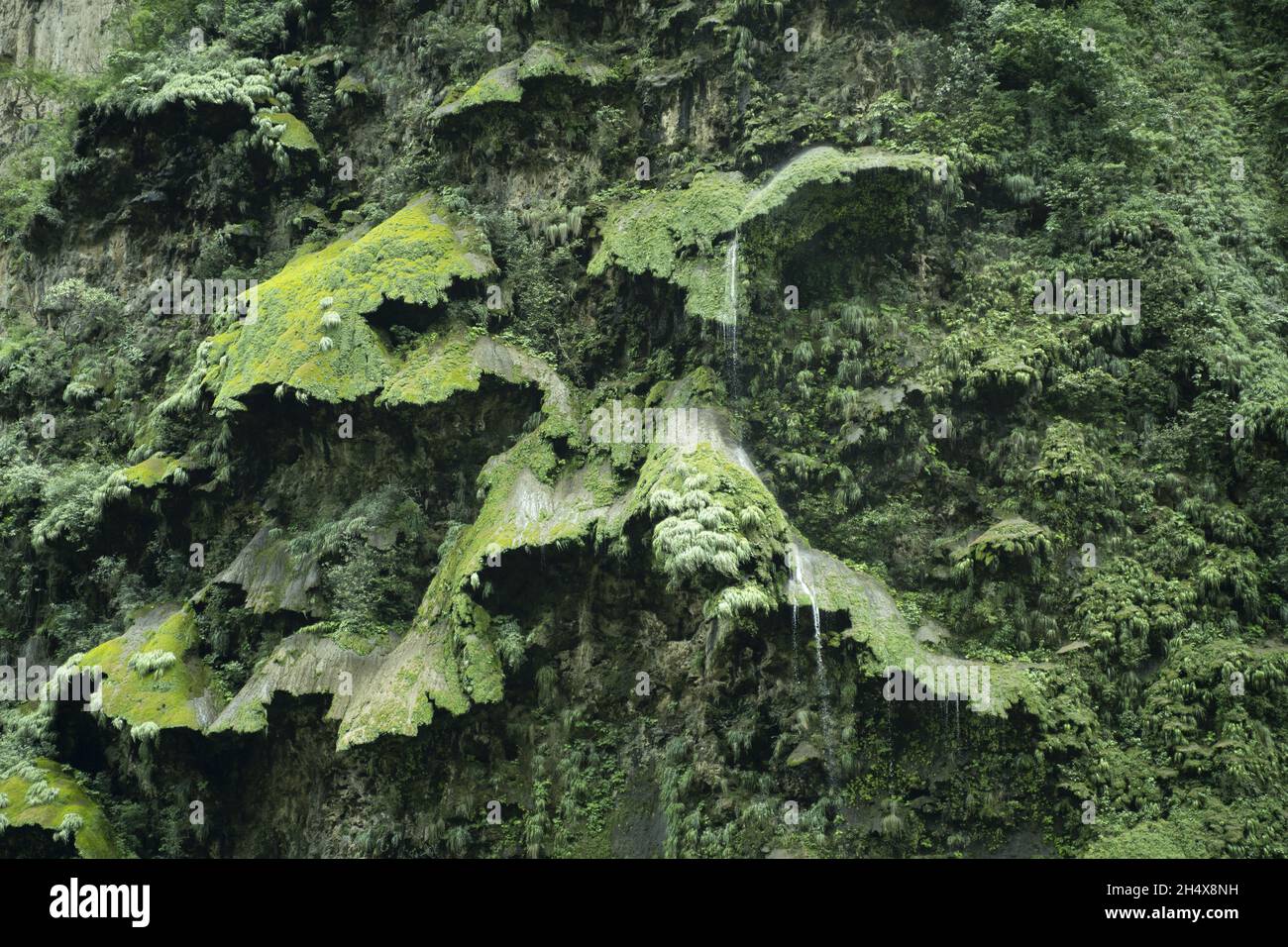 Grijalva river hi-res stock photography and images - Alamy