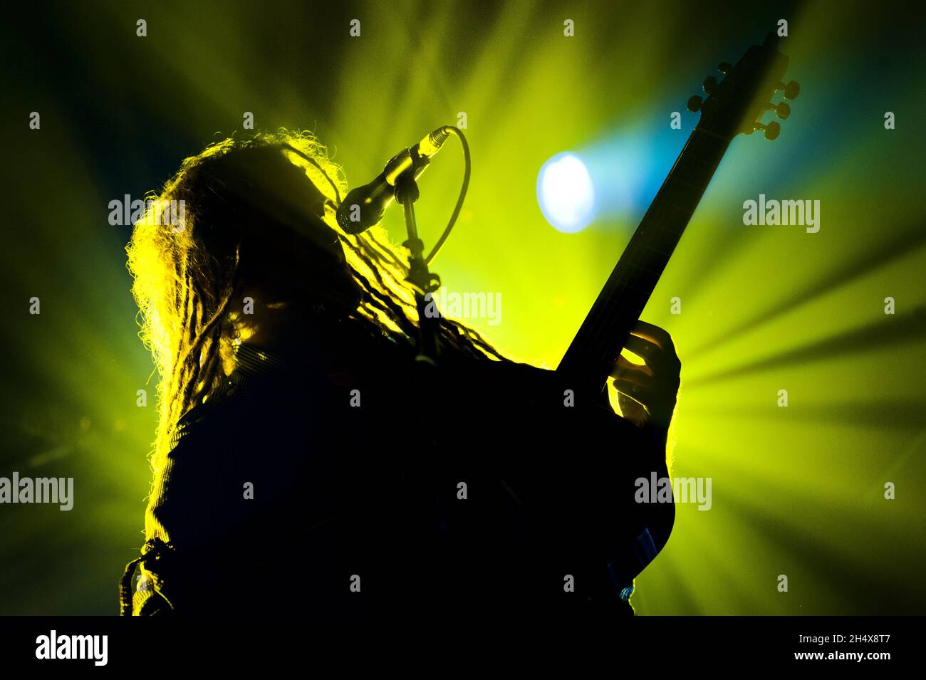 Newton faulkner portrait hi-res stock photography and images - Alamy
