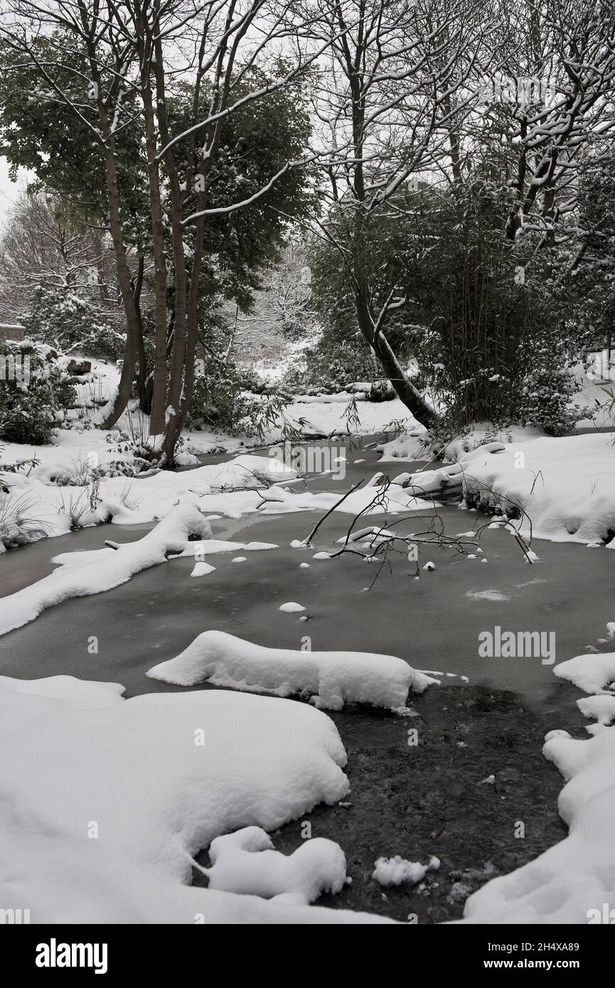 A frozen pond as winter snow covers the ground in Birmingham Stock ...