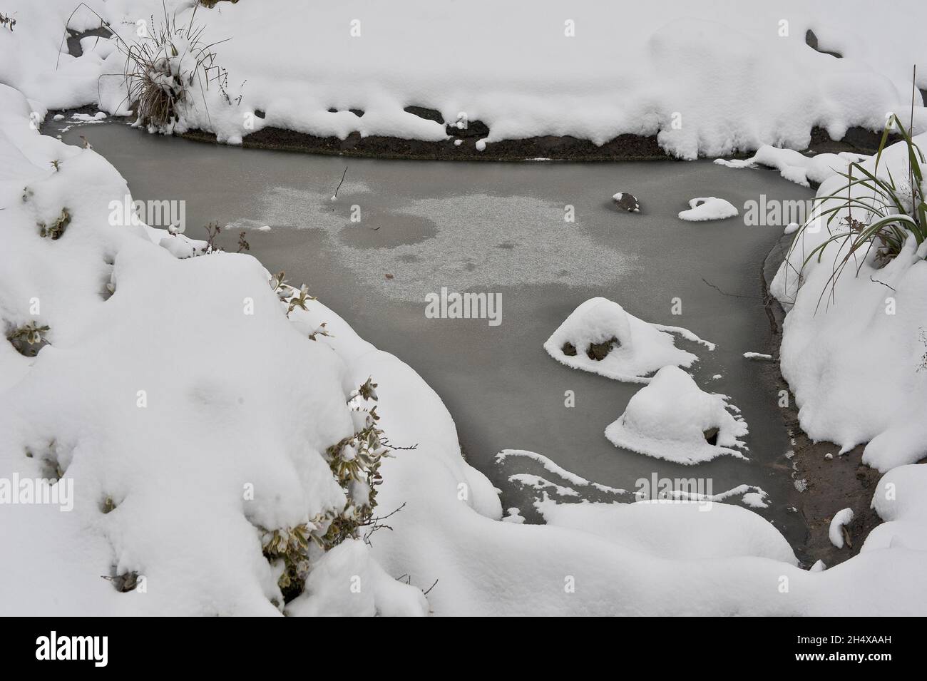 Snow covers the trees and surrounding area in Birmingham Stock Photo ...