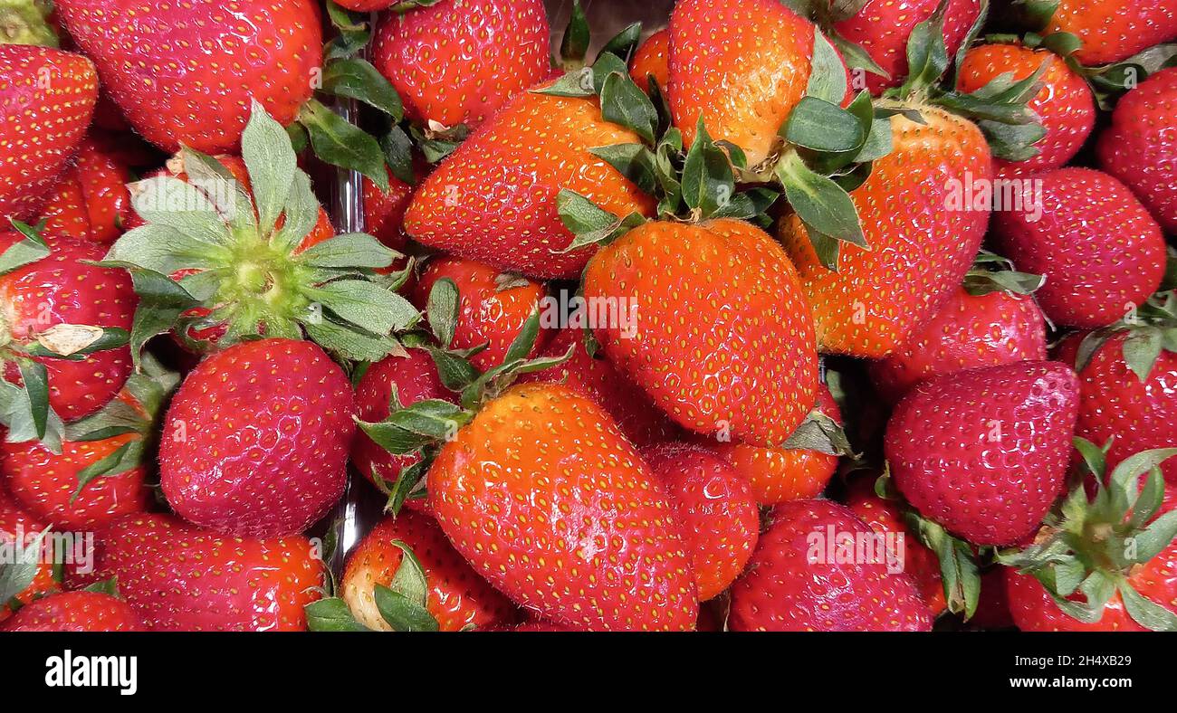 Ripe strawberries. Ripe red berries. High quality photo Stock Photo - Alamy
