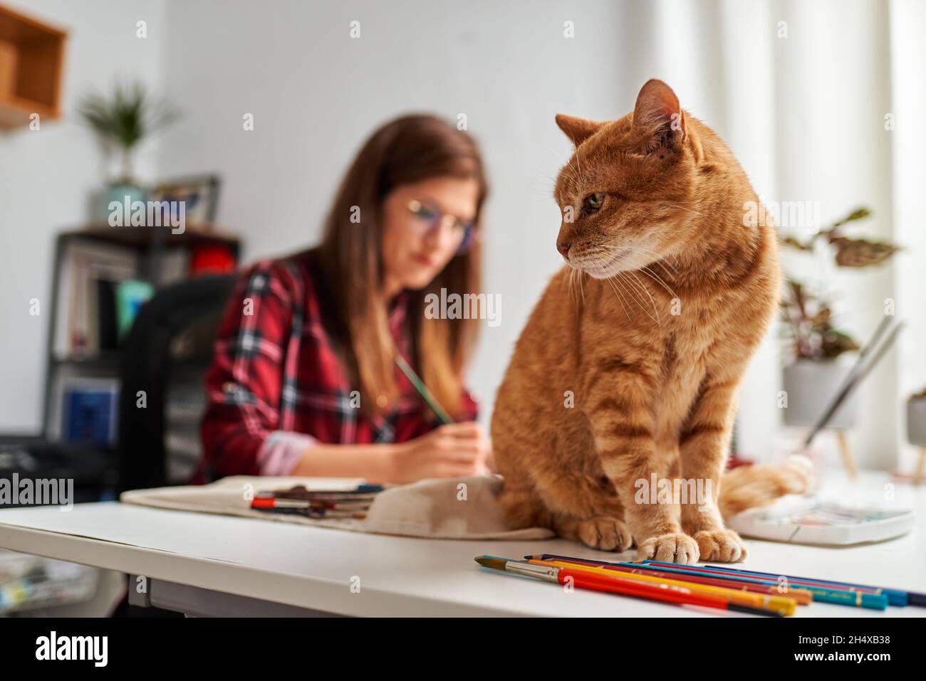 Working at home with pet hi-res stock photography and images - Alamy