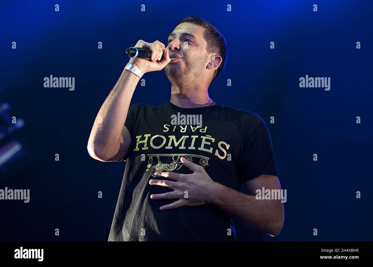 Example in concert during Parklife Weekender festival in Heaton park ...