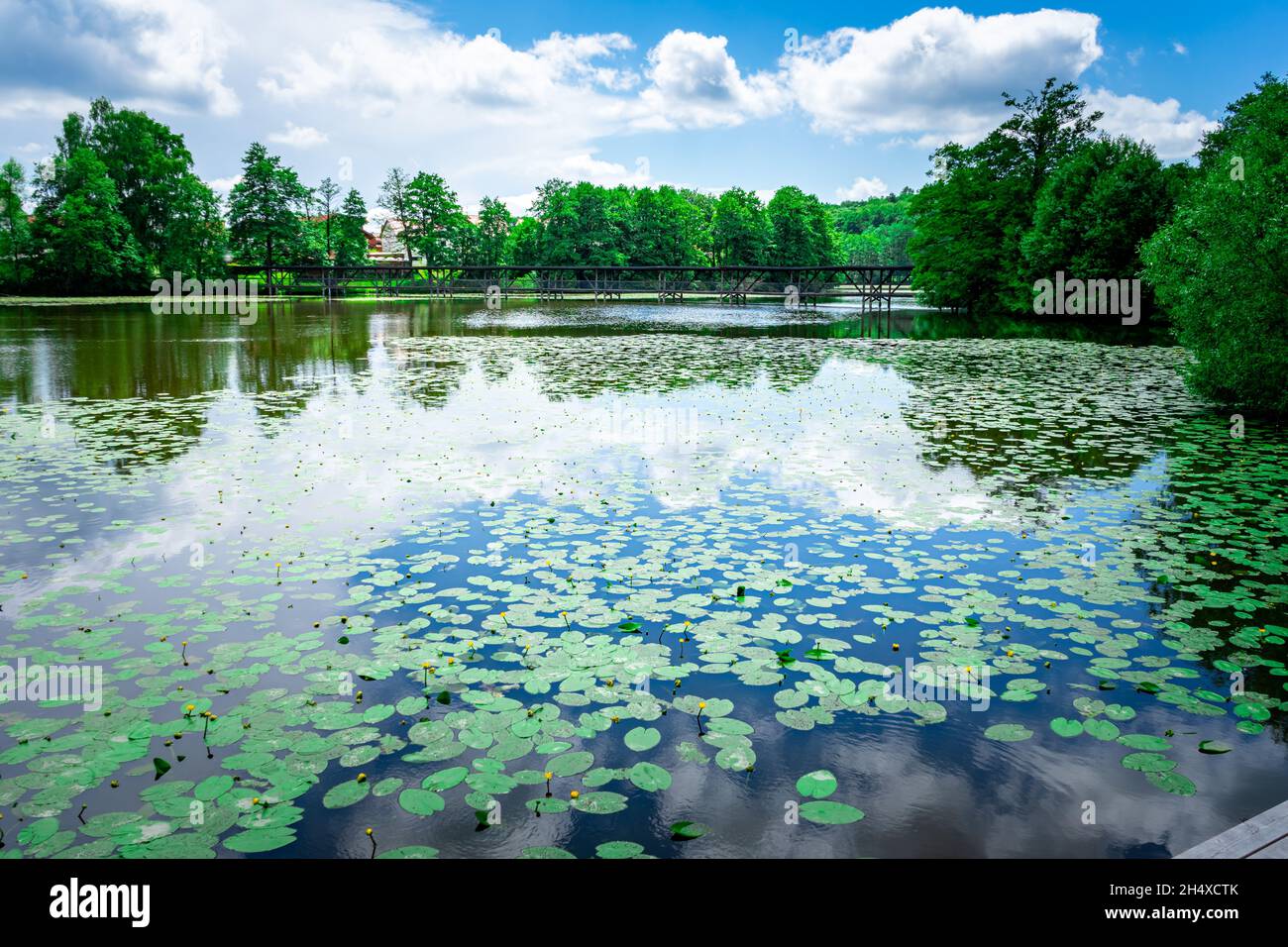 Hiking Wiesenfelden and Rund ums Buescherl in the Bavarian Forest ...