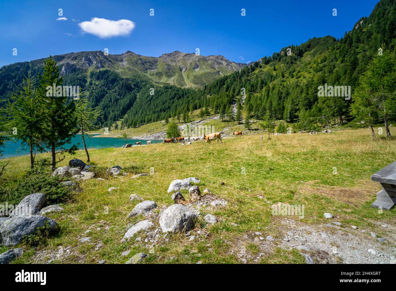 Hiking Tour around the Neves Reservoir in South Tyrol Dolomites Italy ...