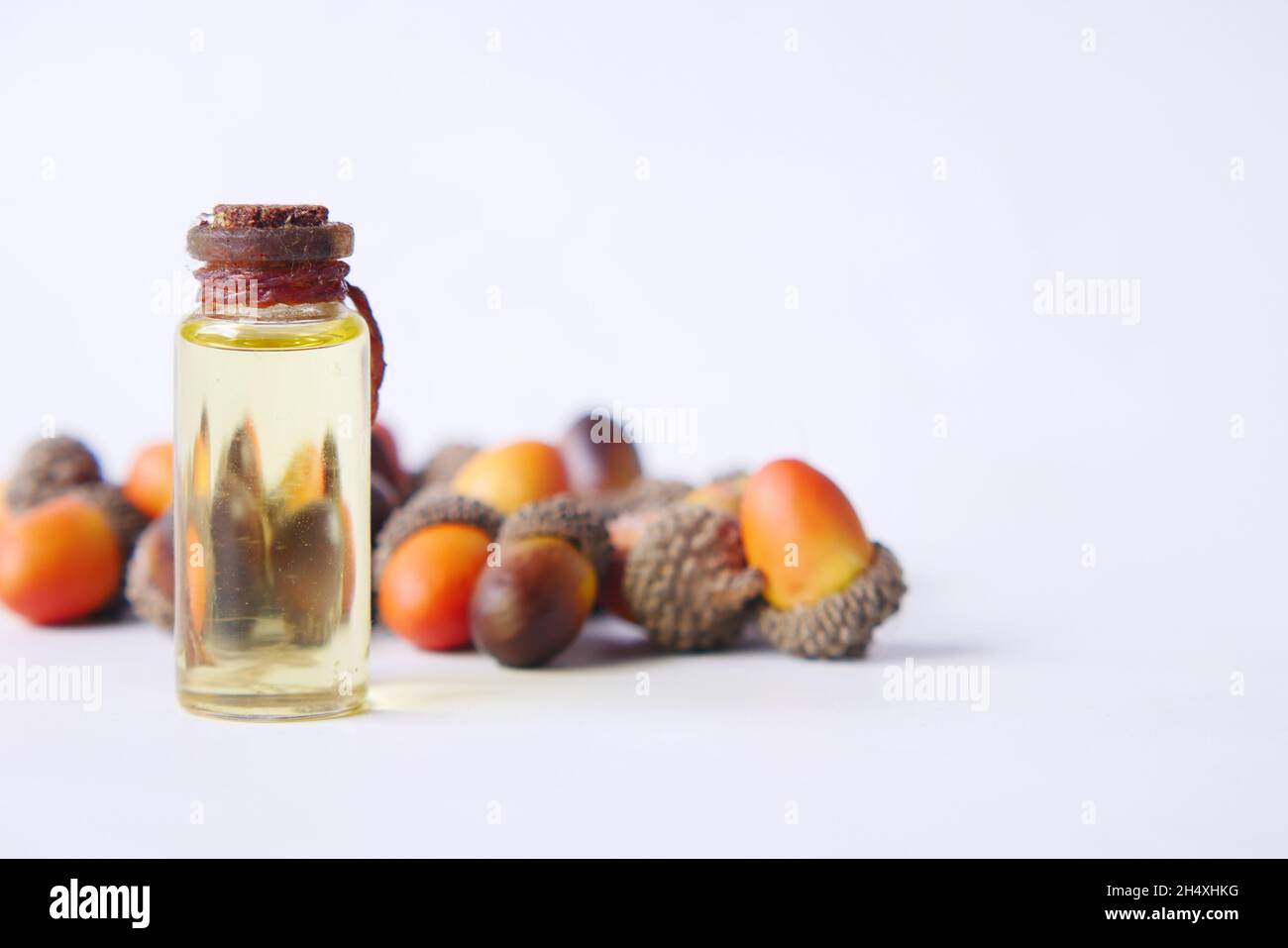 Acorn essential oil isolated on white background Stock Photo - Alamy