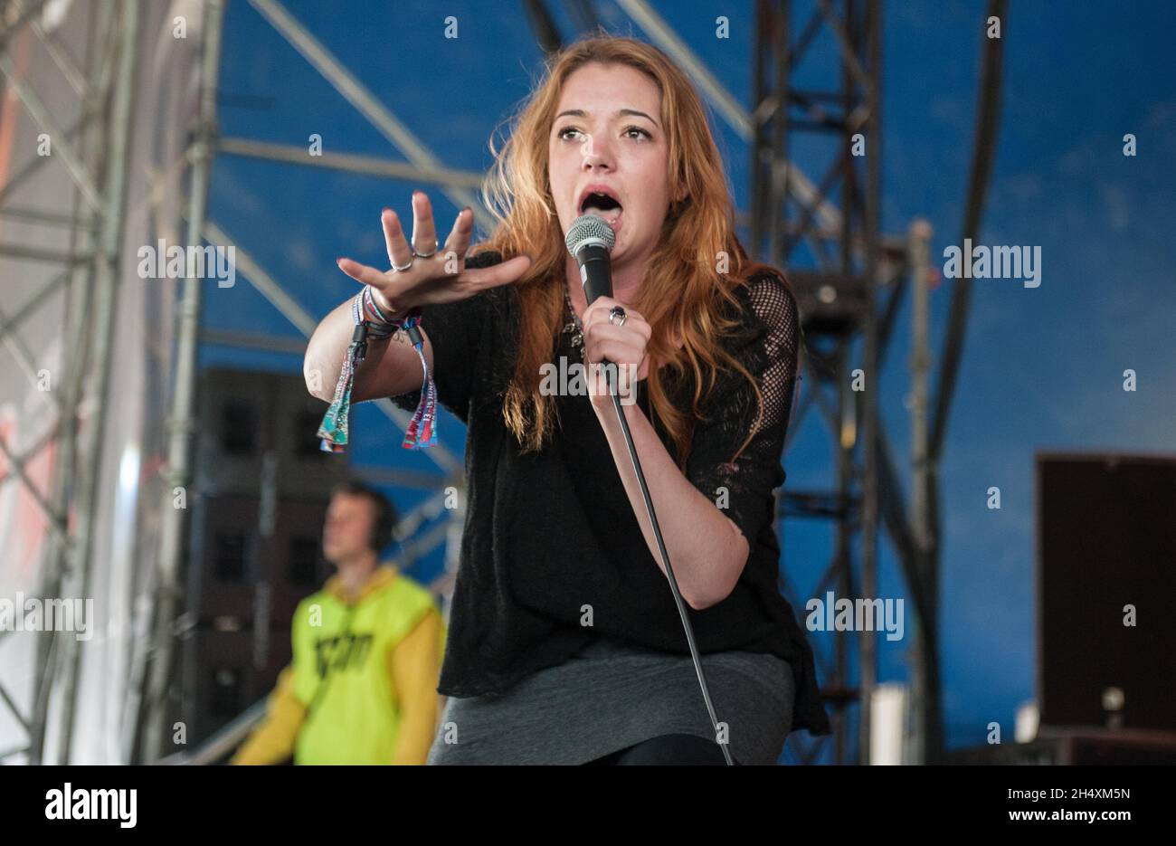 Marmozets live hi-res stock photography and images - Alamy