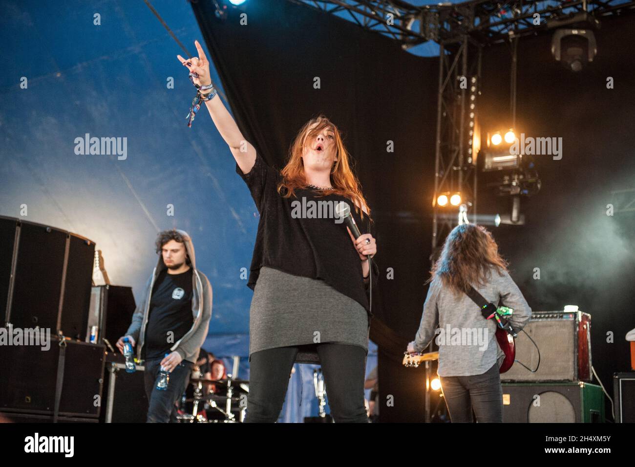 Marmozets live hi-res stock photography and images - Alamy