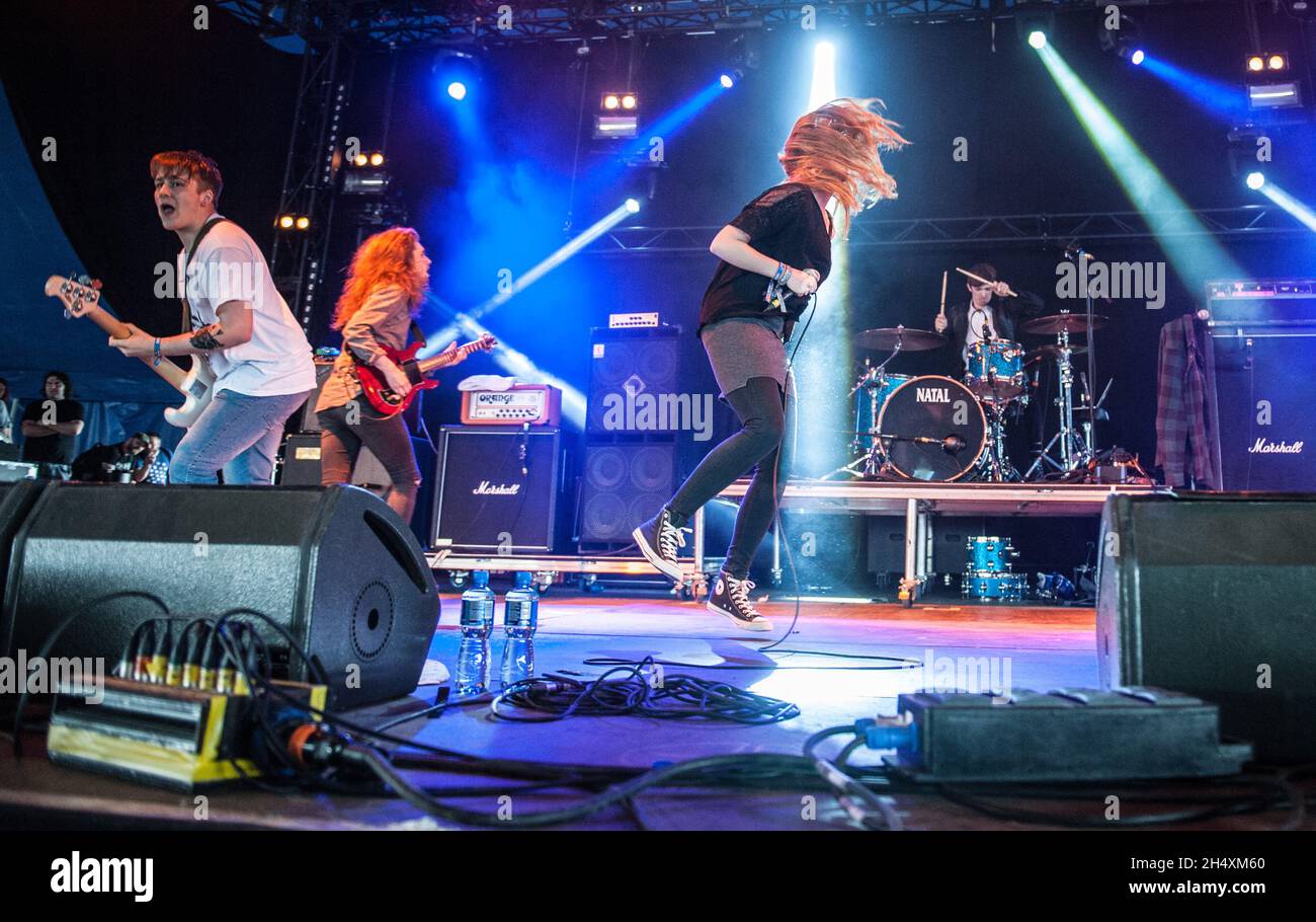 Marmozets gig hi-res stock photography and images - Alamy