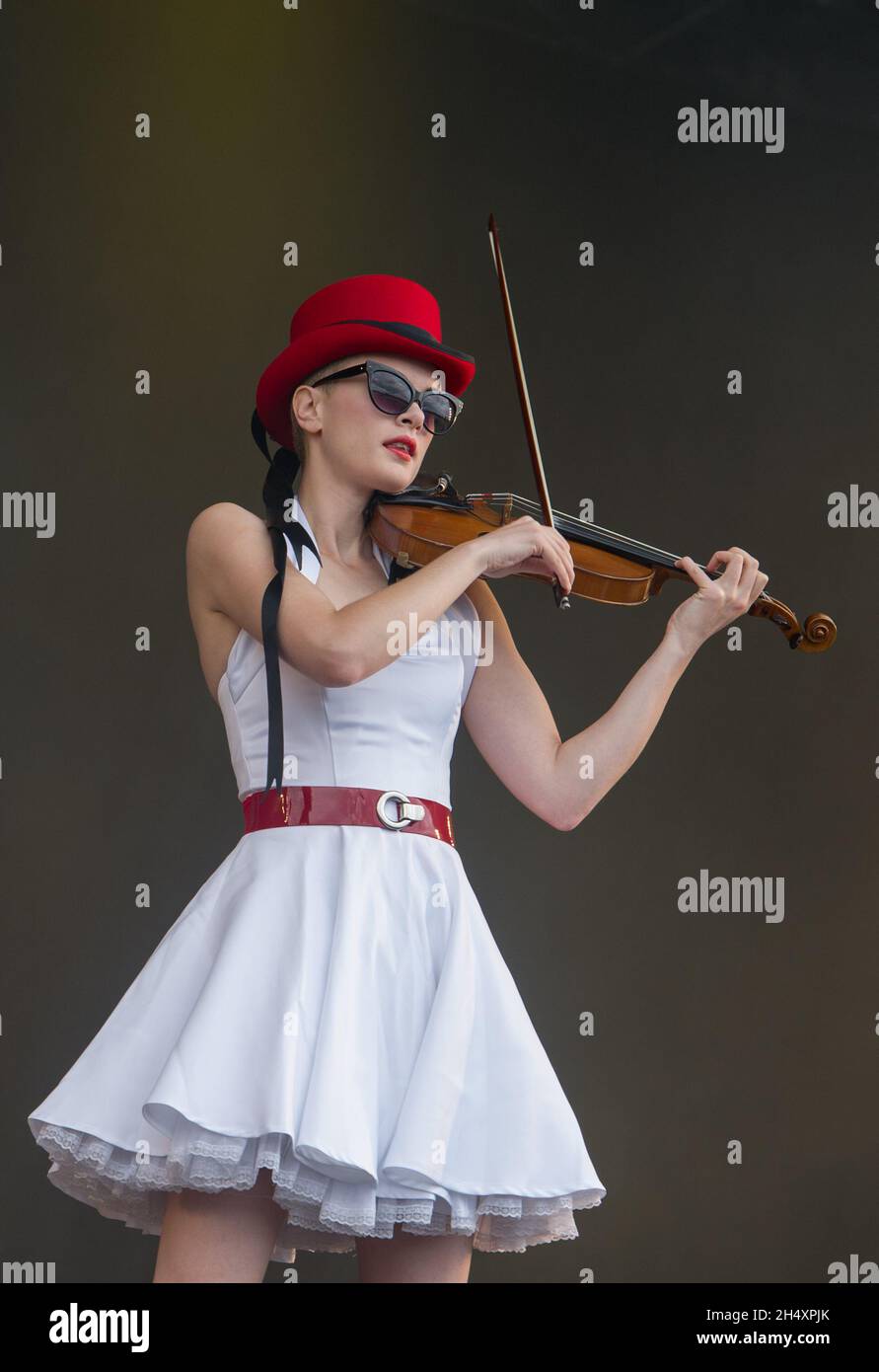 Wonderstuff hi-res stock photography and images - Alamy