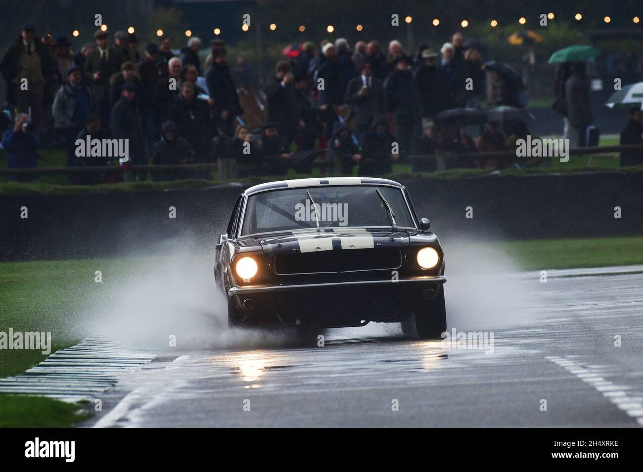 Nicolas Minassian, James Thorpe, Ford Mustang, Pierpoint Cup, V8 ...