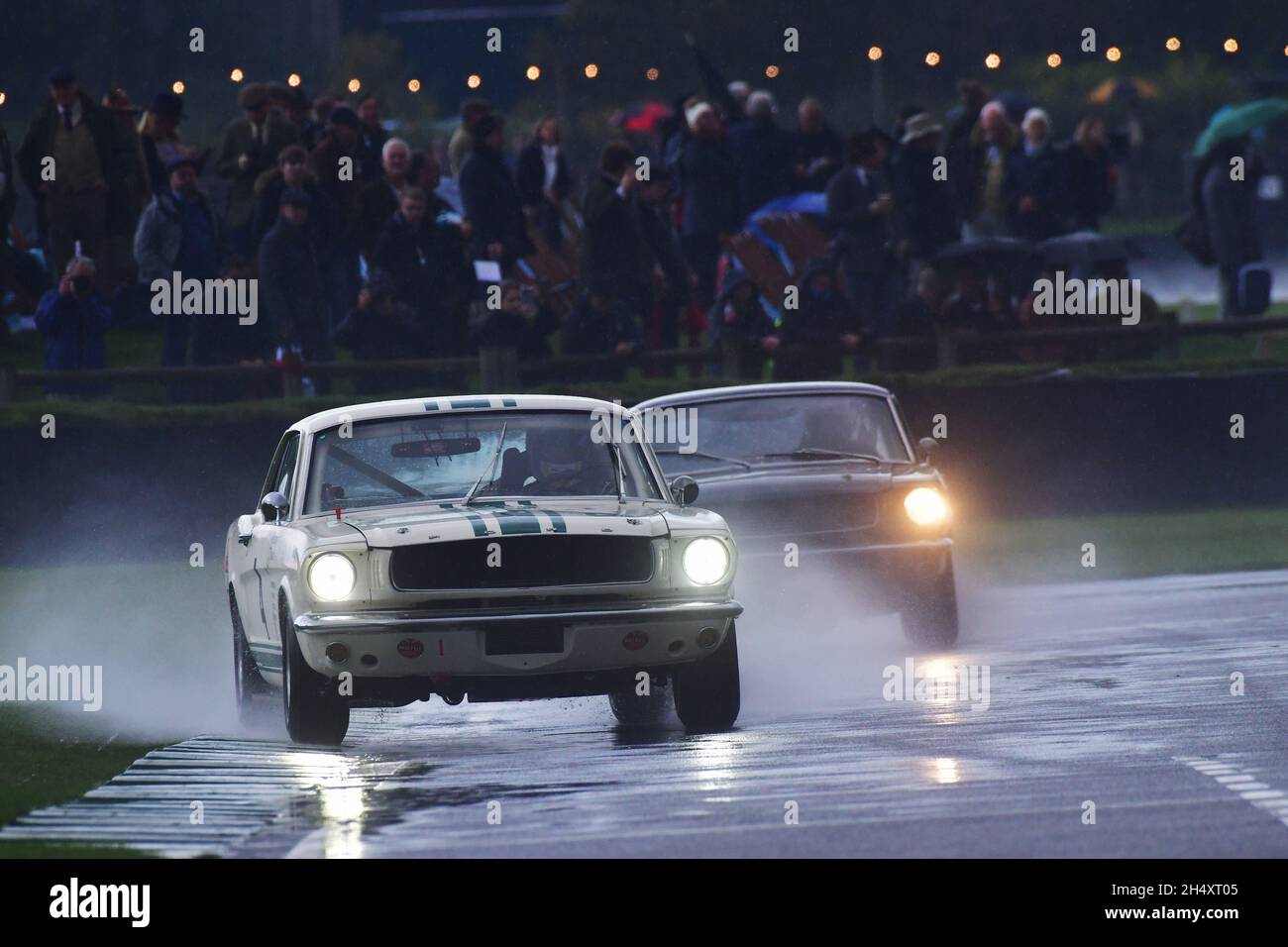 Luke Davenport, Guy Smith, Ford Mustang, Pierpoint Cup, V8 powered ...