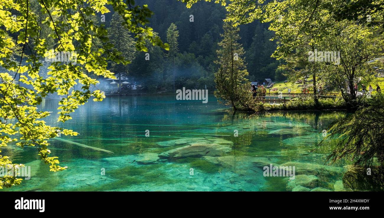 Clear azure lake in the forest with the trees in the background Stock ...