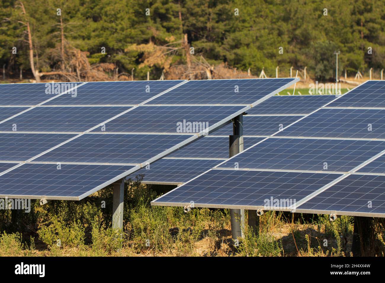 Closeup of solar system panels taking sun rays in a field for ...