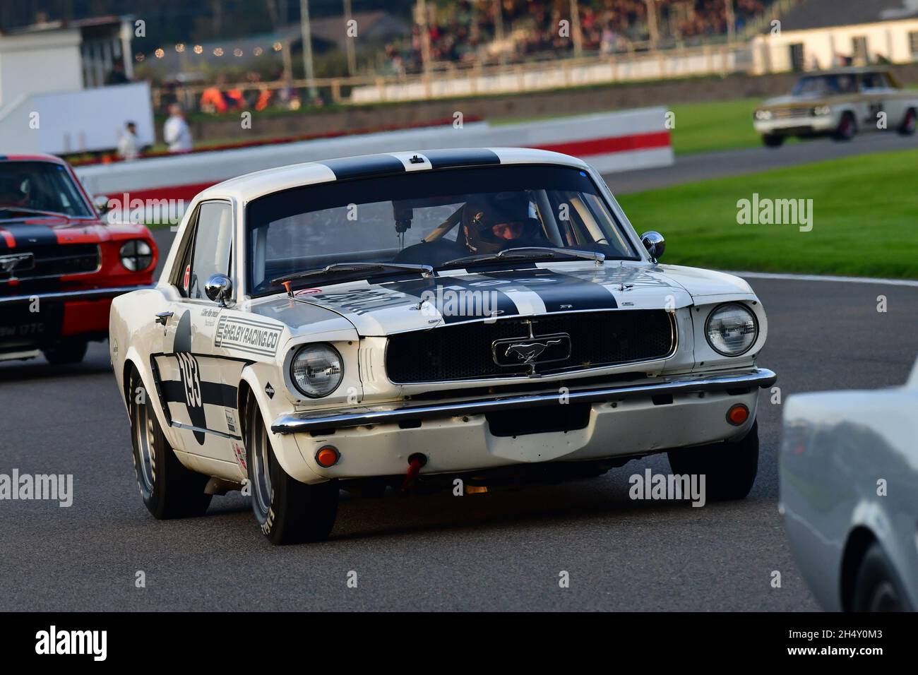 Victor Israelsson, Marino Franchitti, Ford Mustang, Pierpoint Cup, V8 ...