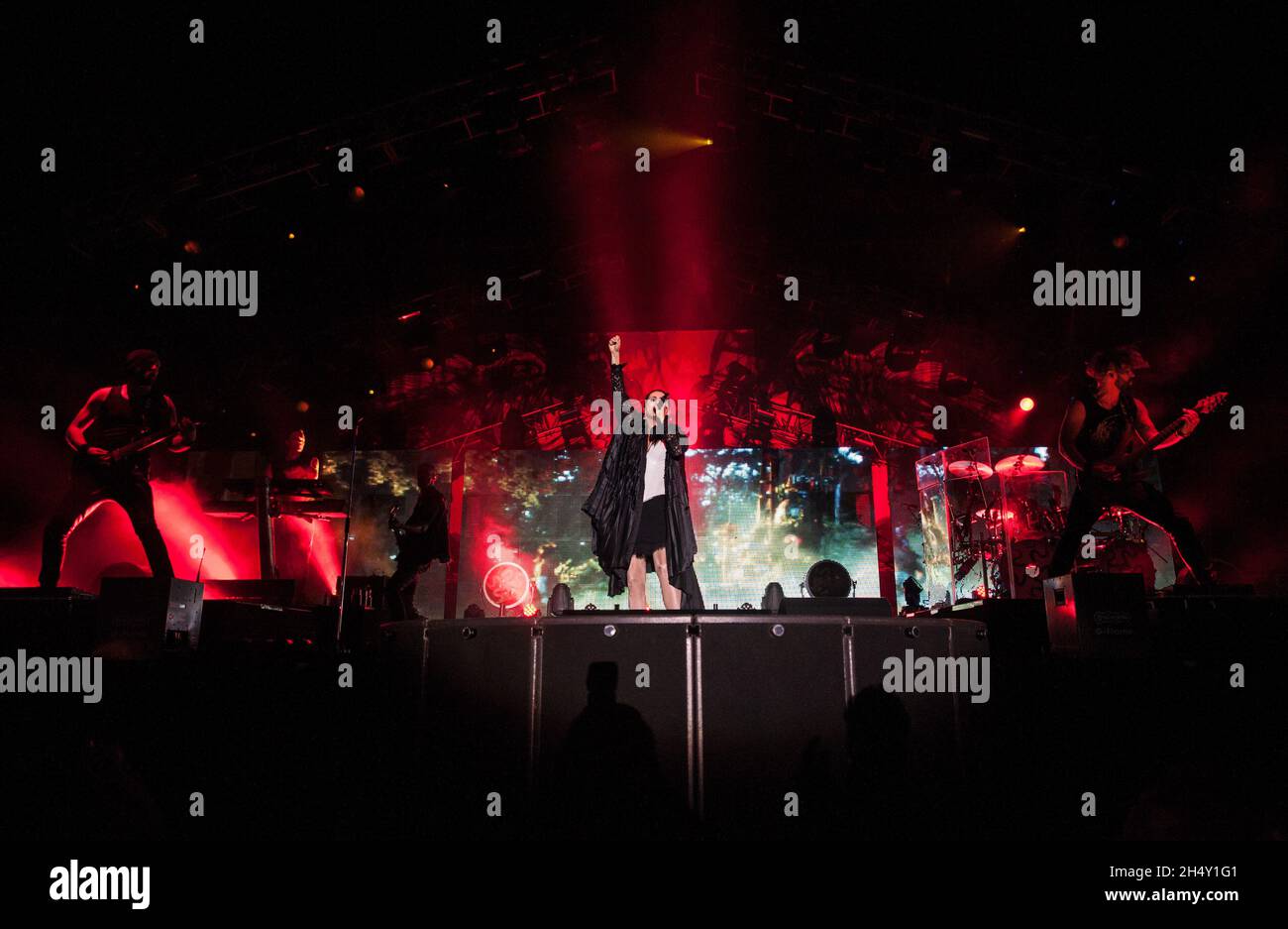 Ruud jolie hi-res stock photography and images - Alamy