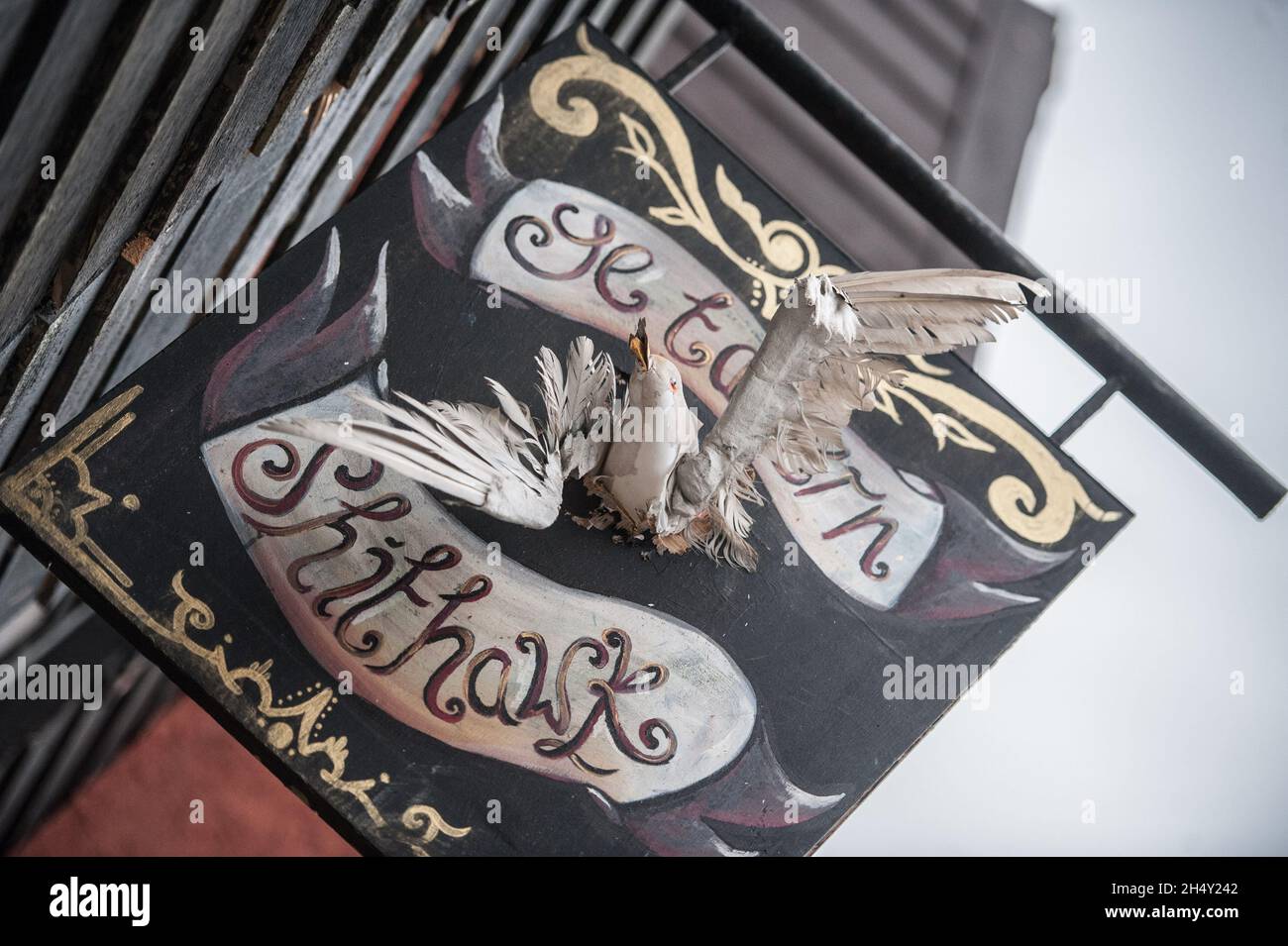Signs and building details on site at Boomtown Fair on August 16, 2015 ...