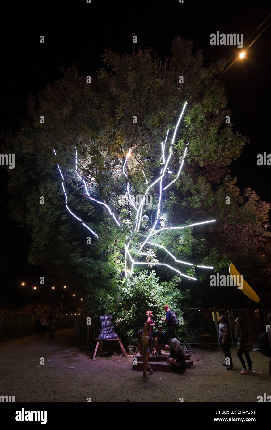 Lit up tree art installation at Boomtown Fair on August 16, 2015 at ...