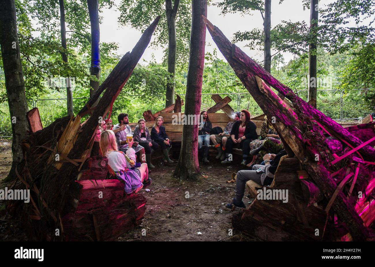 Festival goers at Boomtwon festival on 14-16 August at Metterley Estate ...