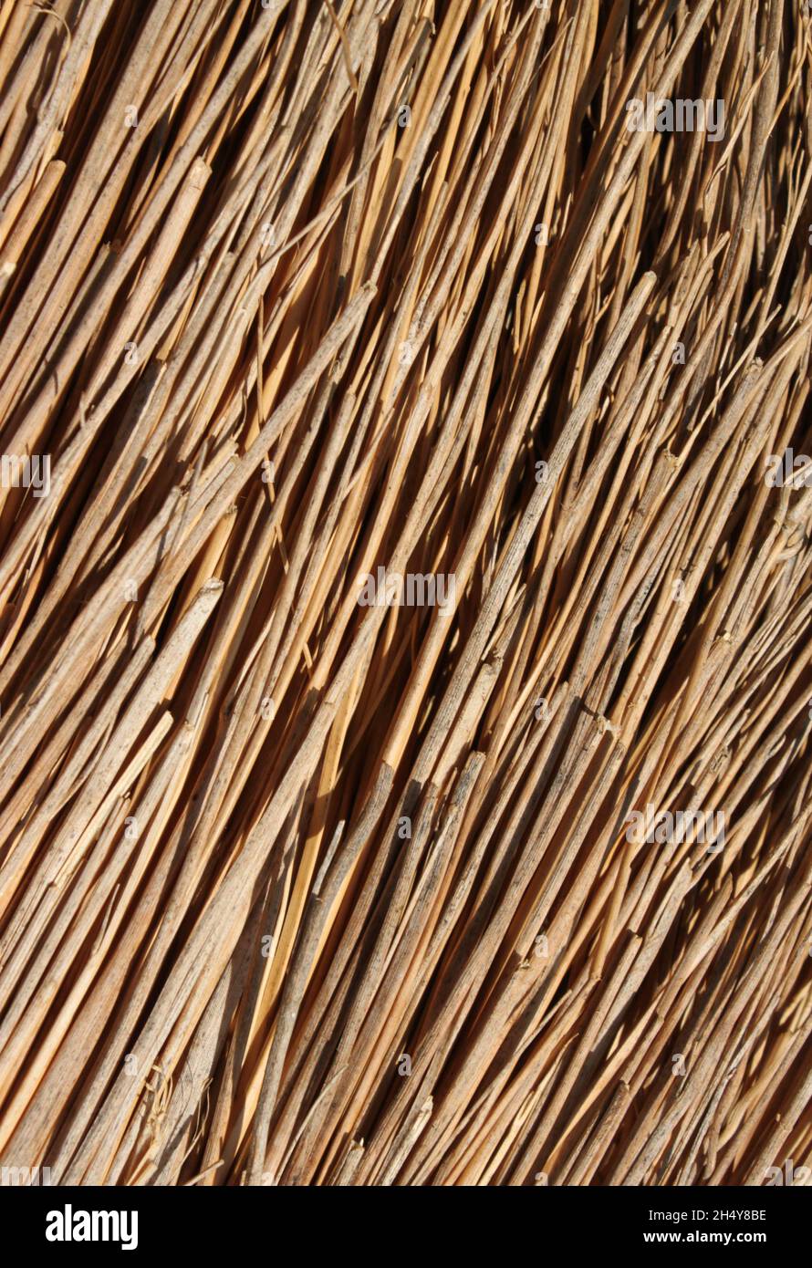 Broom texture hi-res stock photography and images - Alamy