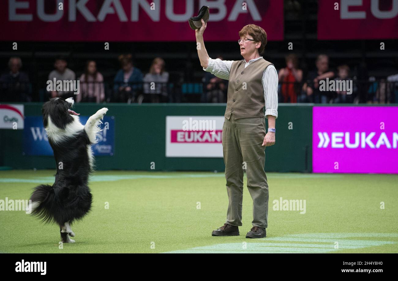 Heelwork to music competition on first day of Crufts 2017 dog show at ...