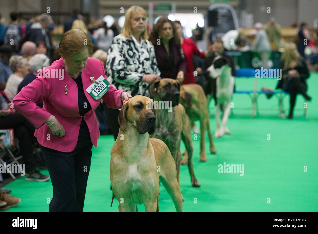 Judging by this picture hi-res stock photography and images - Alamy