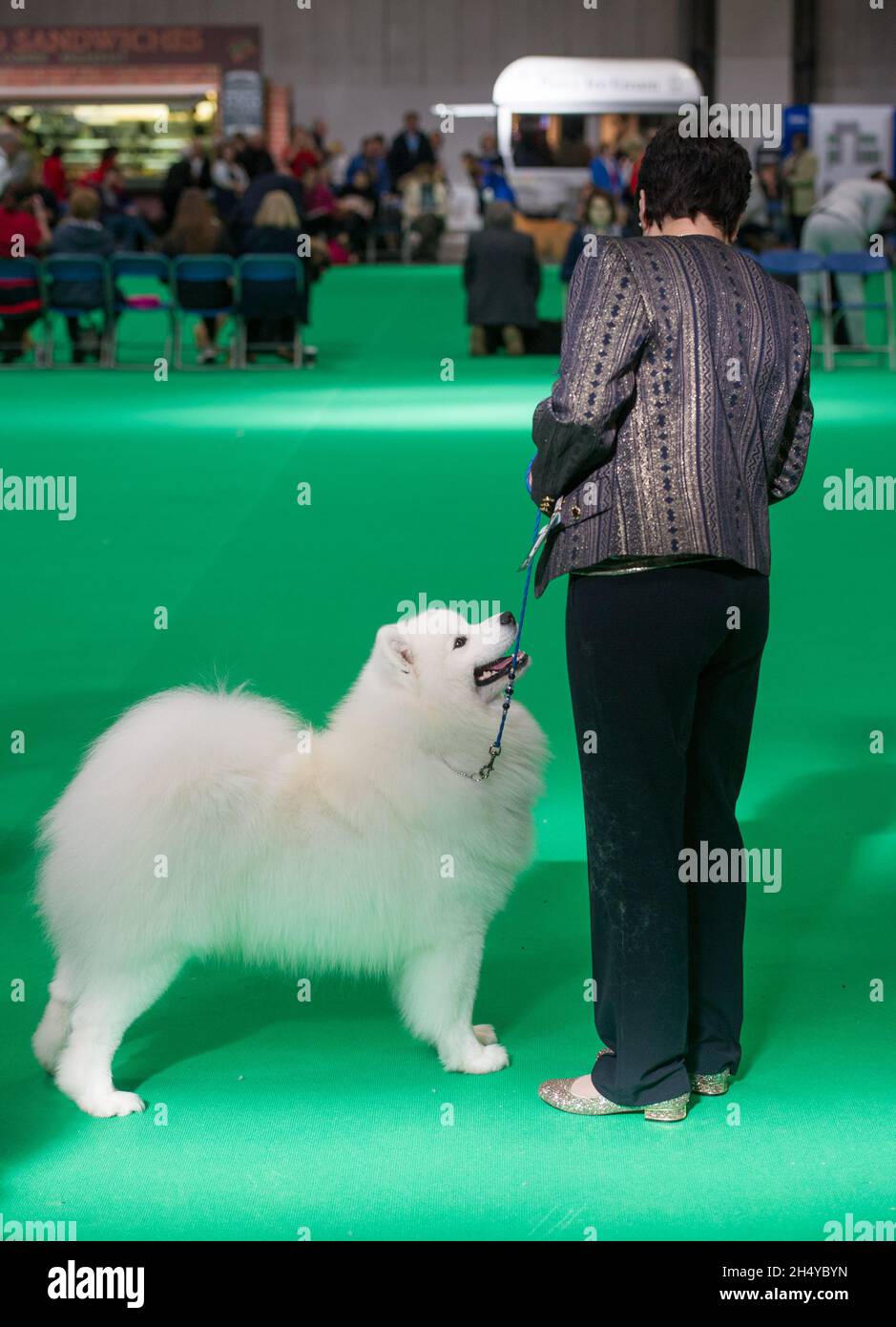 Judging by this picture hi-res stock photography and images - Alamy