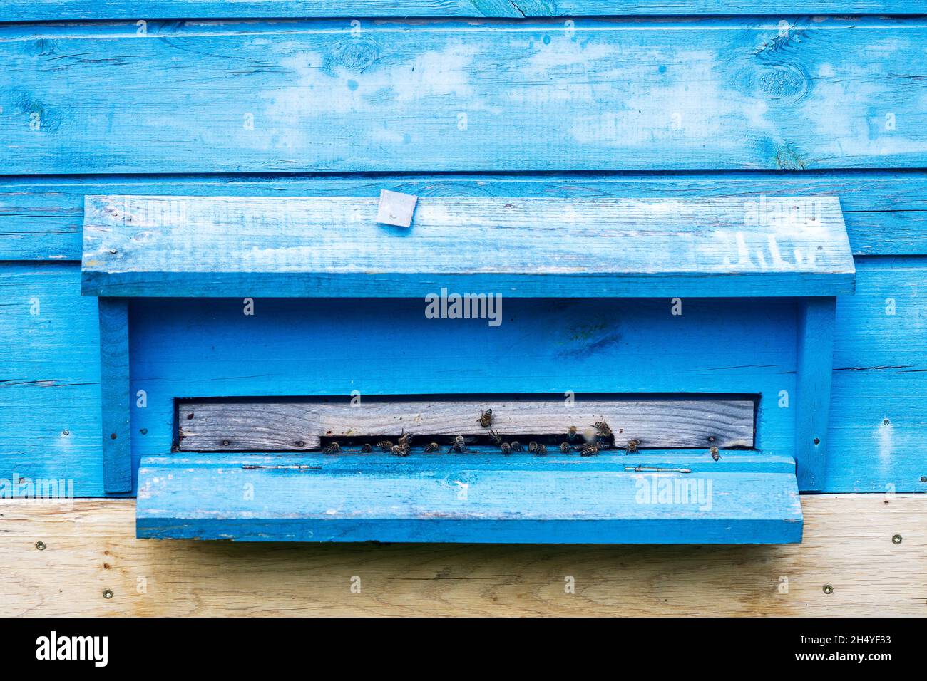 Hive entrance hi-res stock photography and images - Alamy