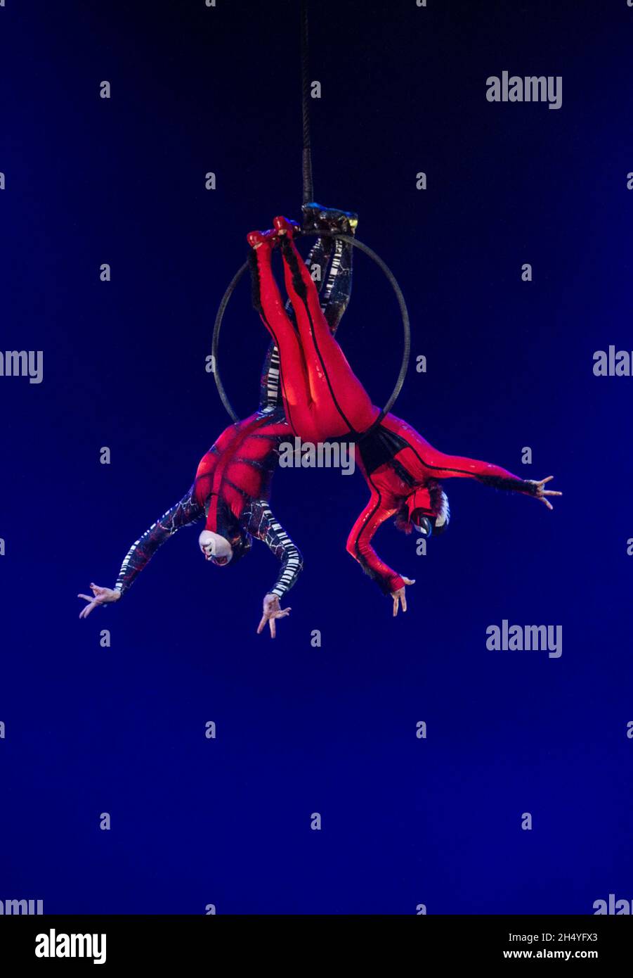 Ovo show hi-res stock photography and images - Alamy