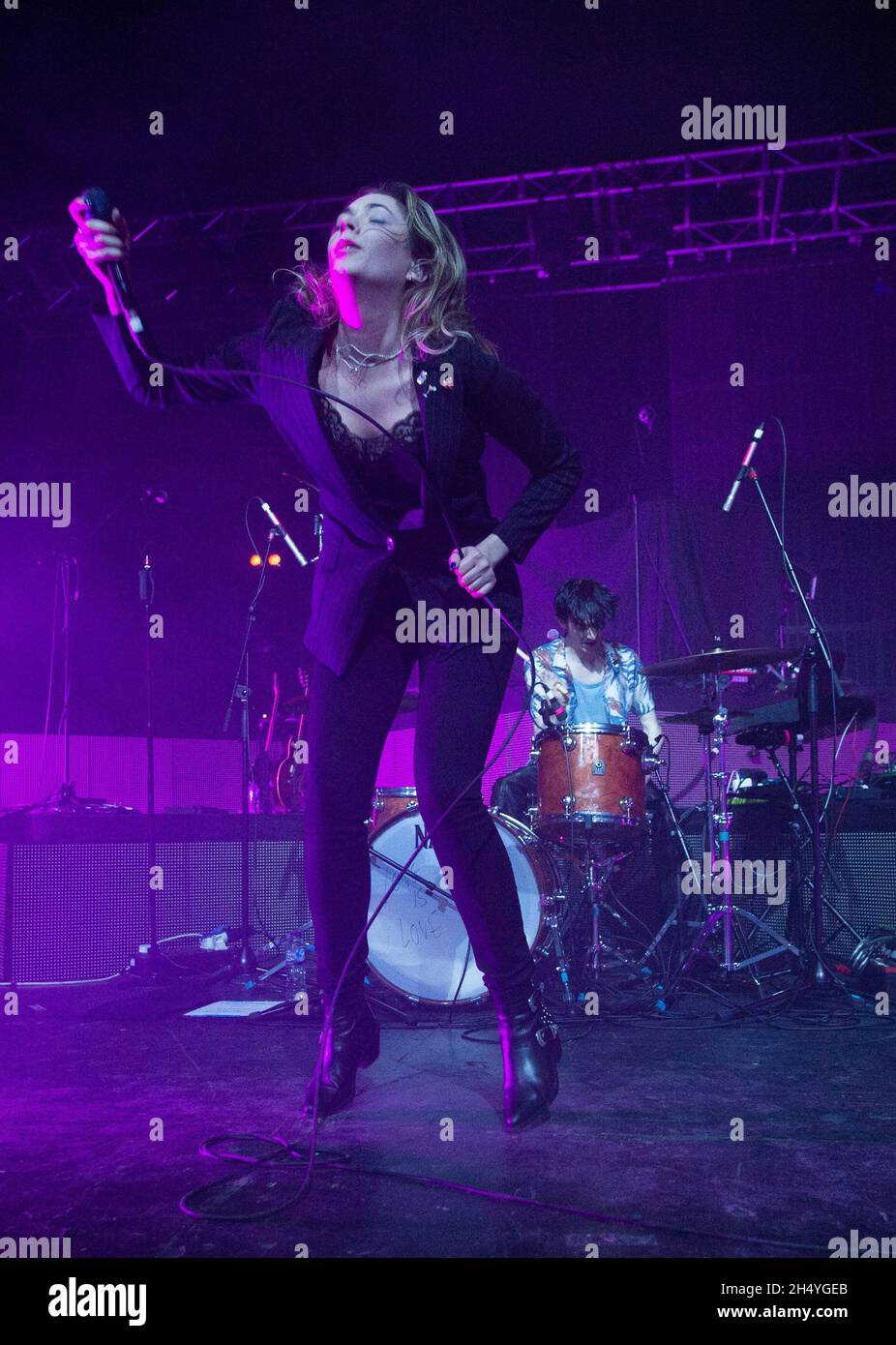 Marmozets Singer High Resolution Stock Photography and Images - Alamy