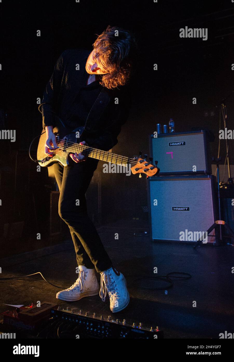 Marmozets Singer High Resolution Stock Photography and Images - Alamy