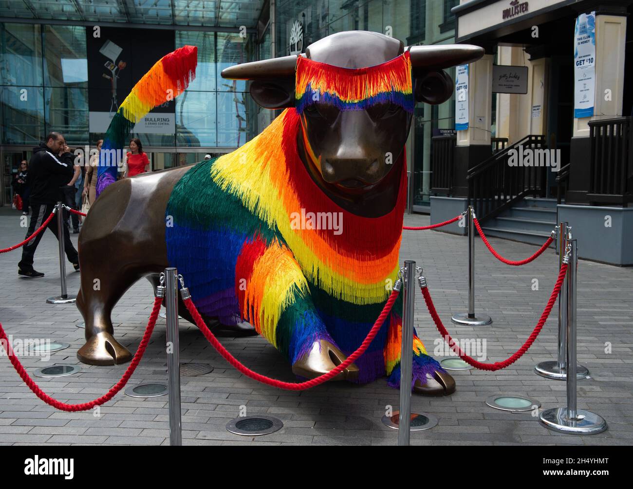 Birmingham bull adorned in rainbow colours to celebrate Birmingham ...