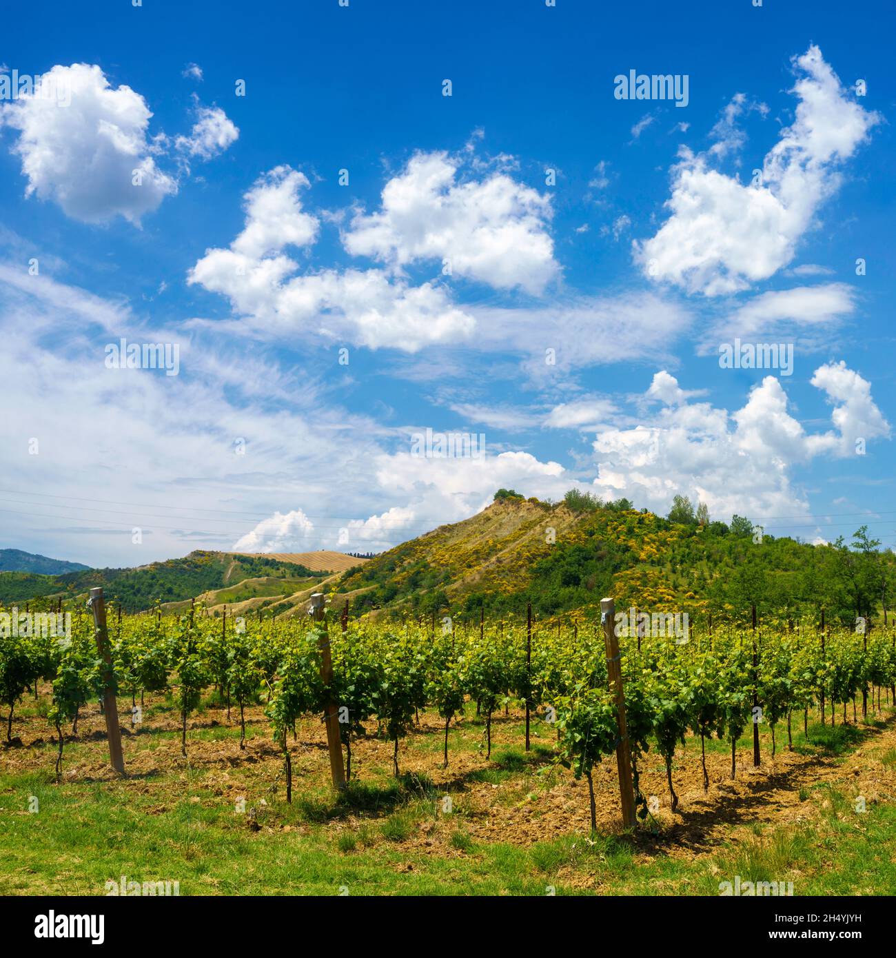 Country landscape on the hills in the Ravenna province, Emilia-Romagna ...