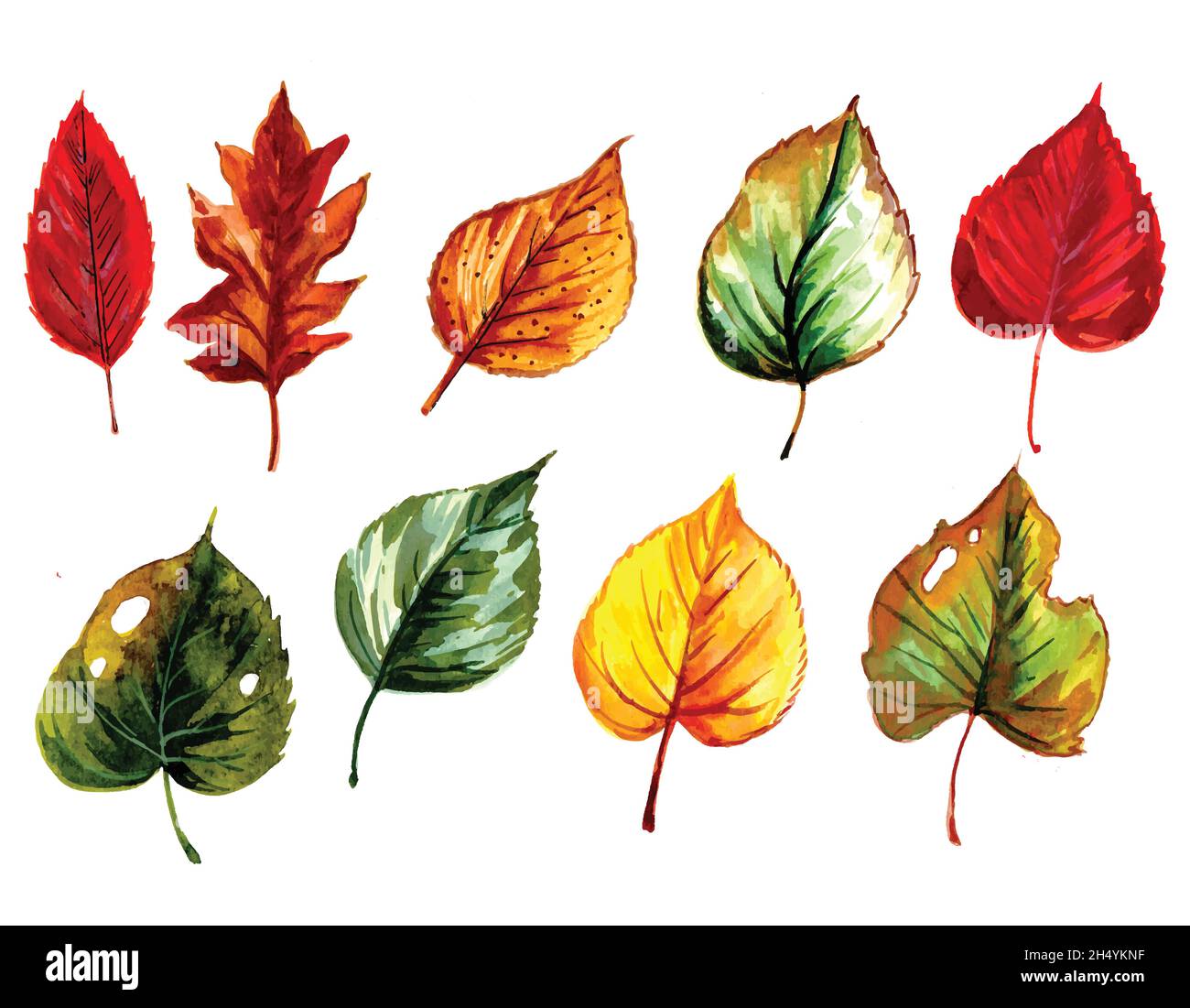 Hand draw watercolor colorful leaf set design Stock Vector Image & Art ...