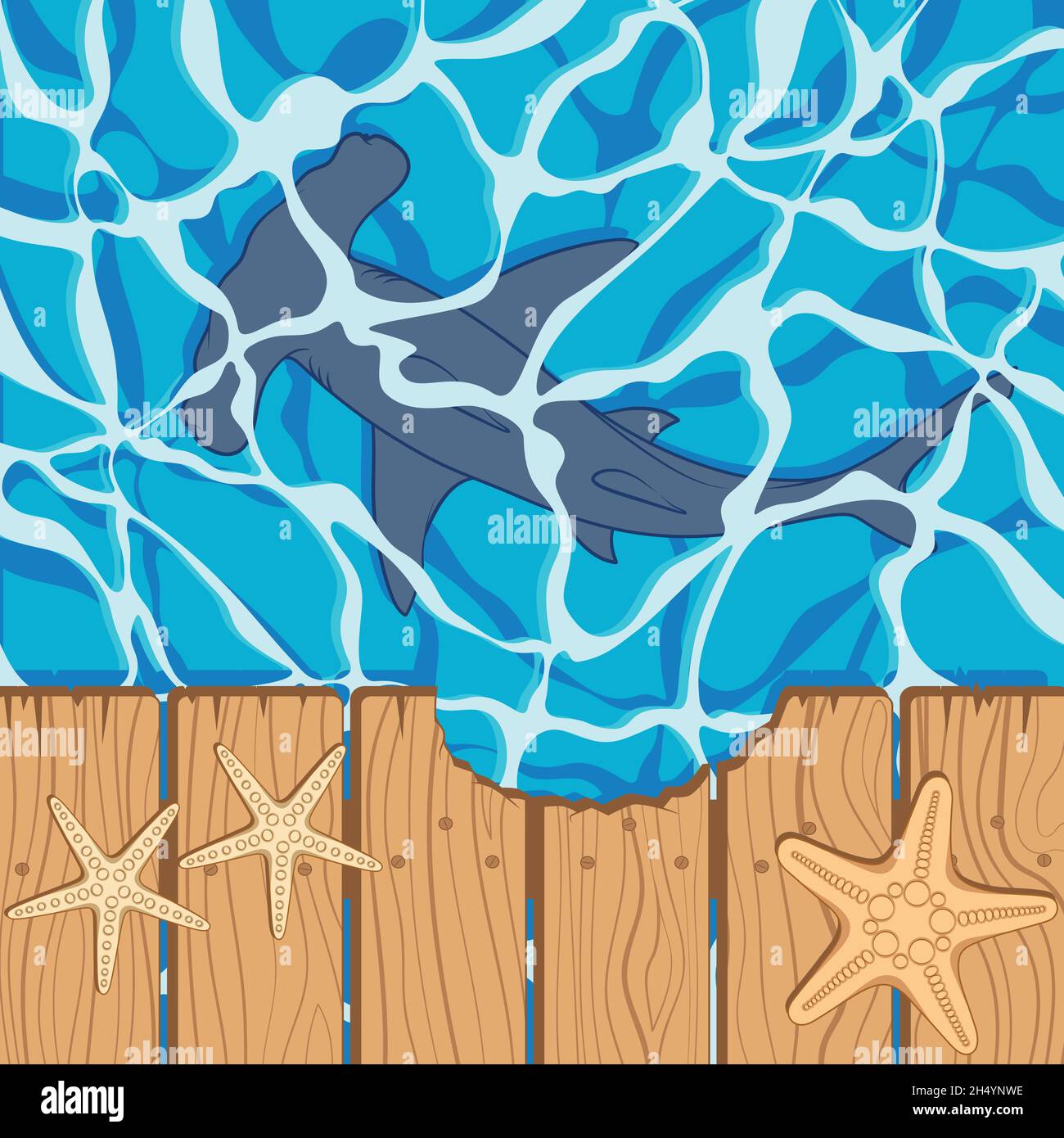 Marine color background with a shark hammer and starfish. Summer vector ...