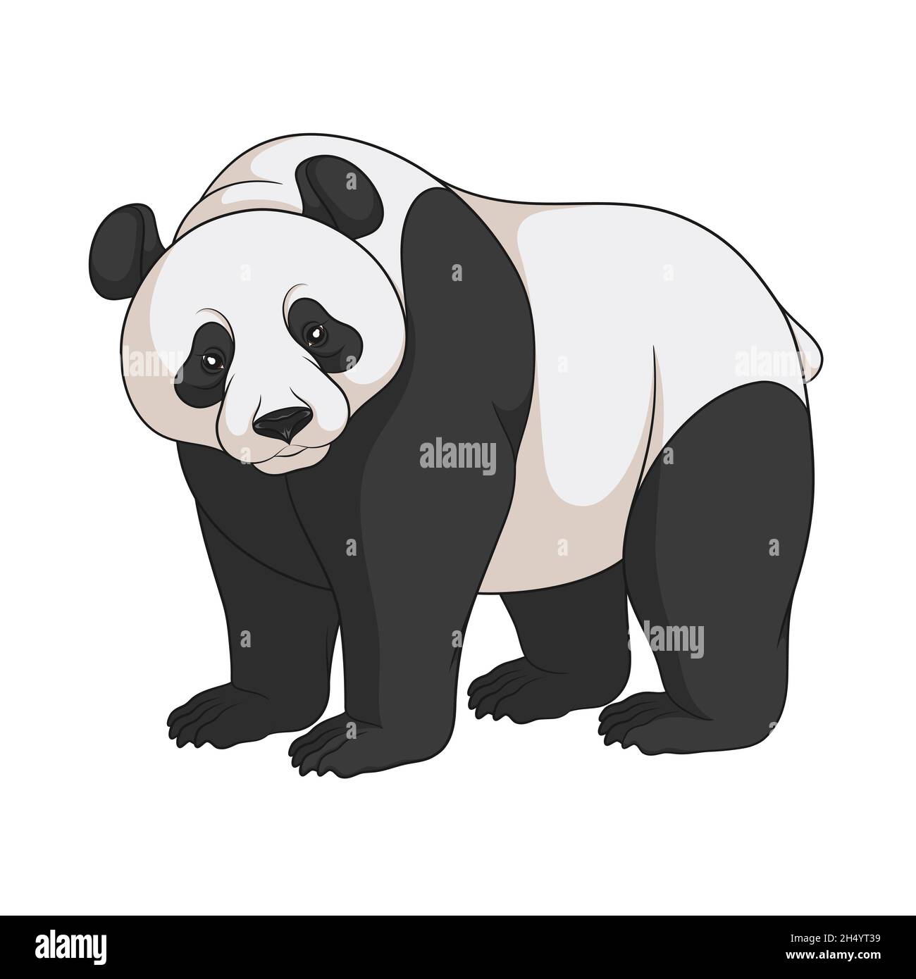 Color vector image of a panda. Isolated object on white background ...