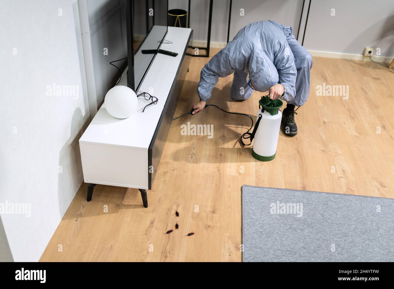 Pest Control Exterminator Man Spraying Termite Pesticide At Home Stock ...