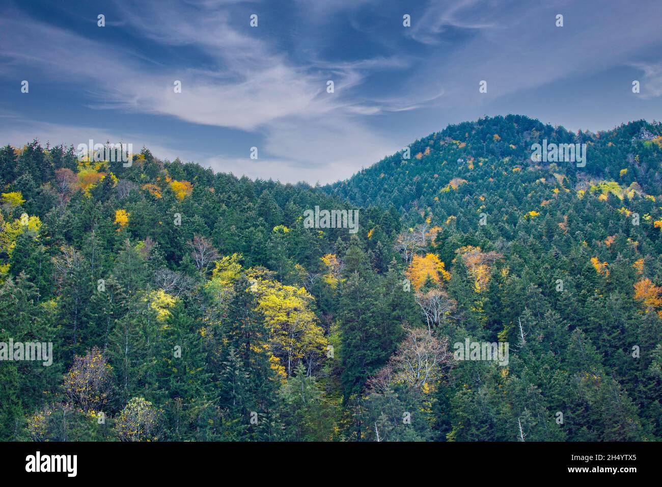 Trabzon nature hi-res stock photography and images - Alamy
