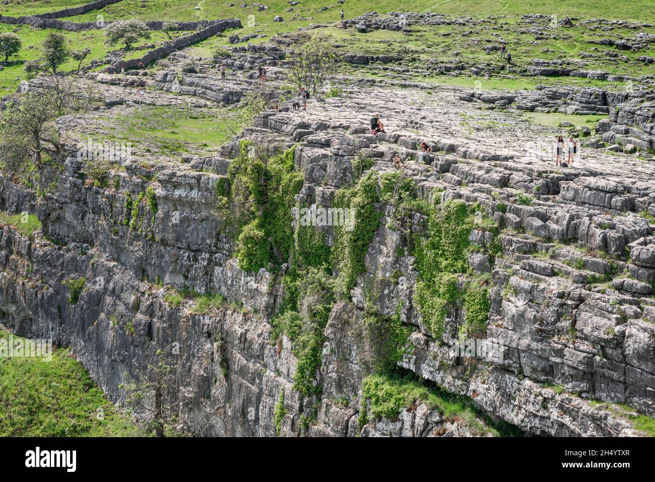 Yorkshire, view in summer of a section Malham Cove, a 260ft limestone ...